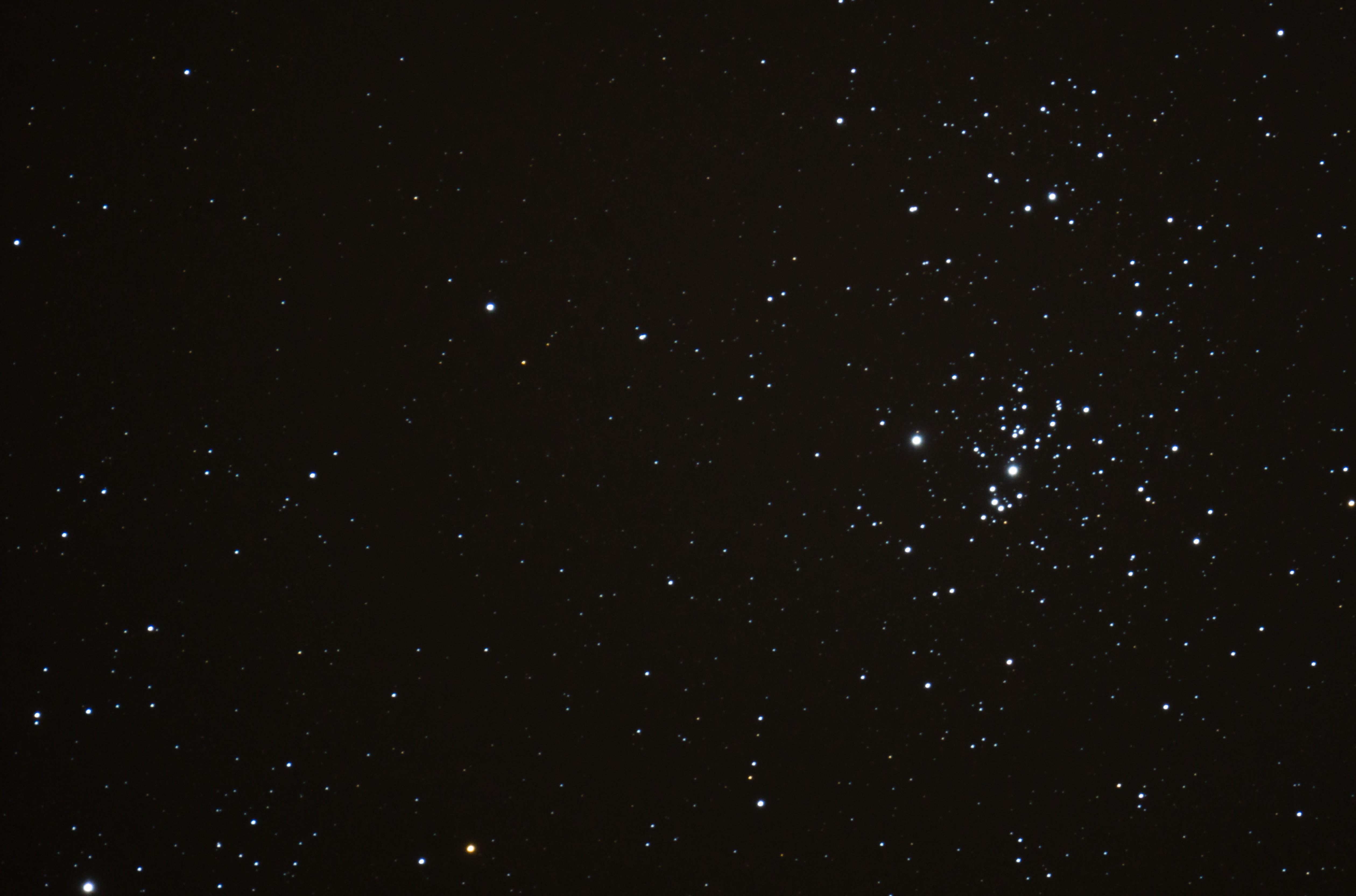 h Persei (Double Cluster) - Spektrum der Wissenschaft