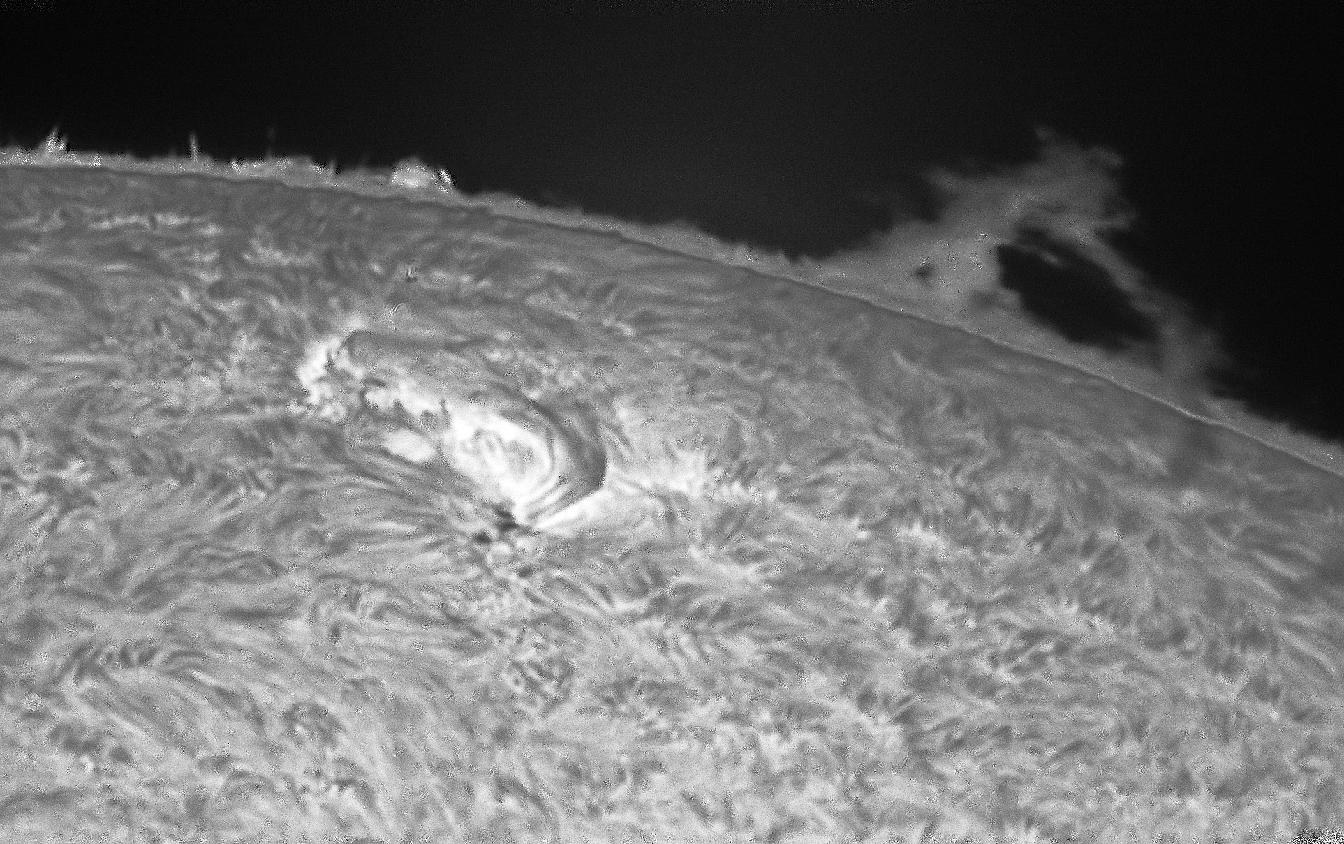AR 14173 und Protuberanz - Spektrum der Wissenschaft