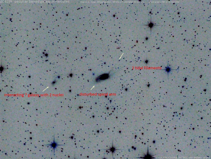 NGC 6239 "Cockroach Galaxy (3) - Spektrum der Wissenschaft