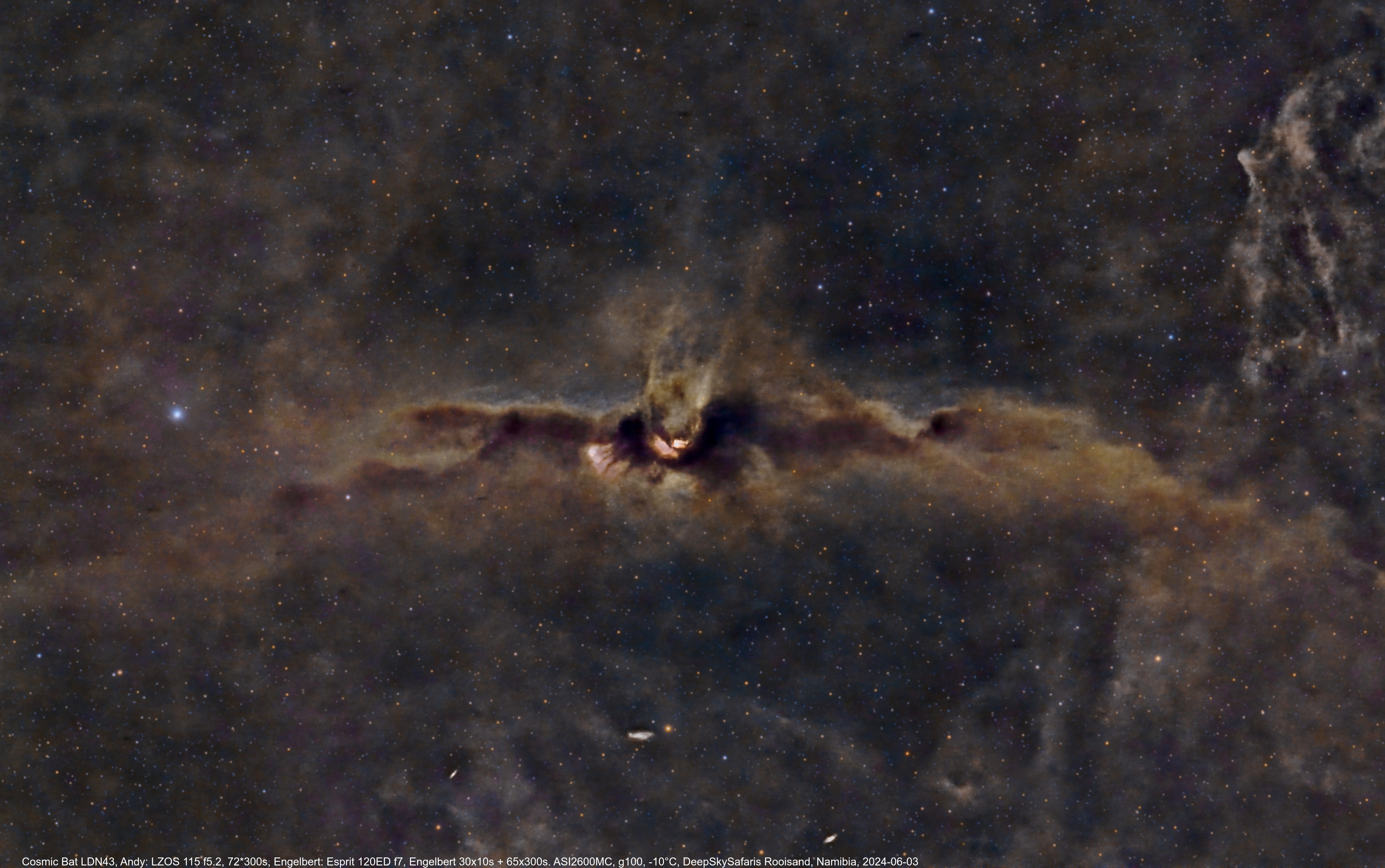 Kosmische Fledermaus - Spektrum der Wissenschaft