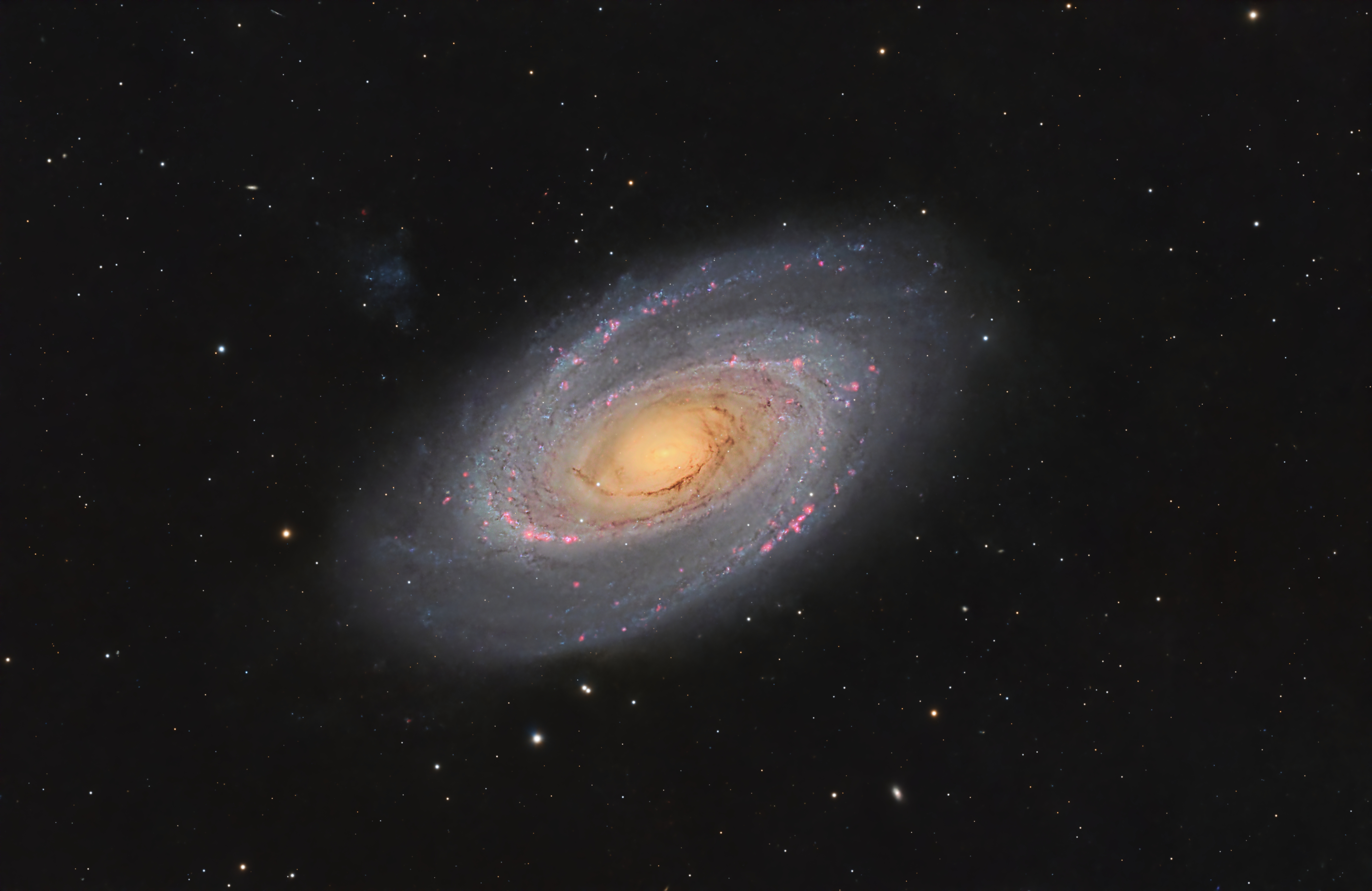 M81 - Bodes Galaxie - Spektrum der Wissenschaft