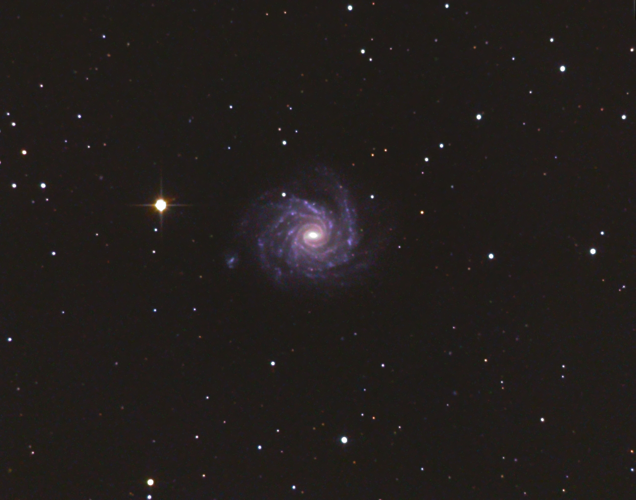 NGC 1232 - "Grand Design Spirale" im Eridanus (Arp 41) - Spektrum der ...