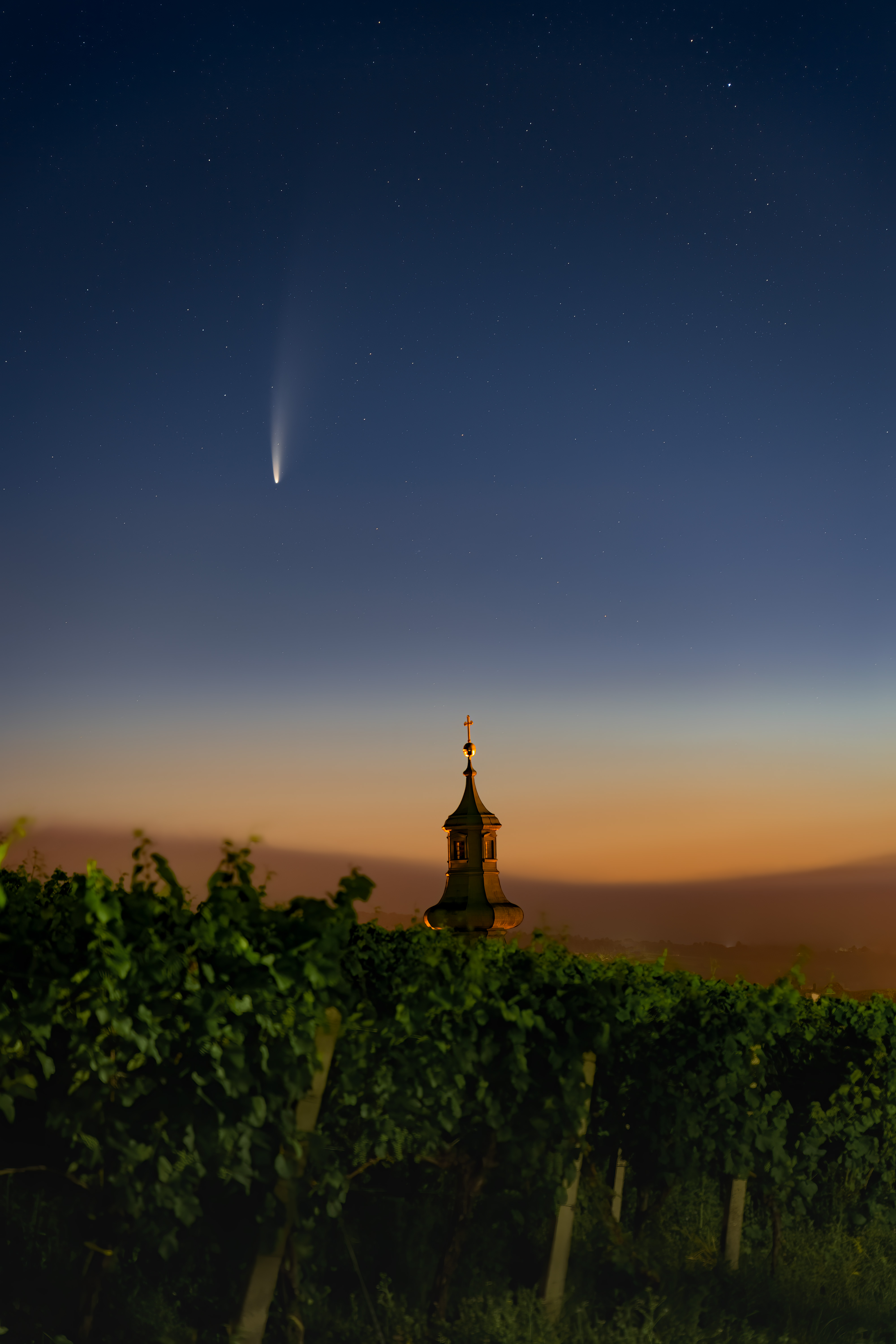 Komet C/2020 F3 Neowise - Spektrum der Wissenschaft