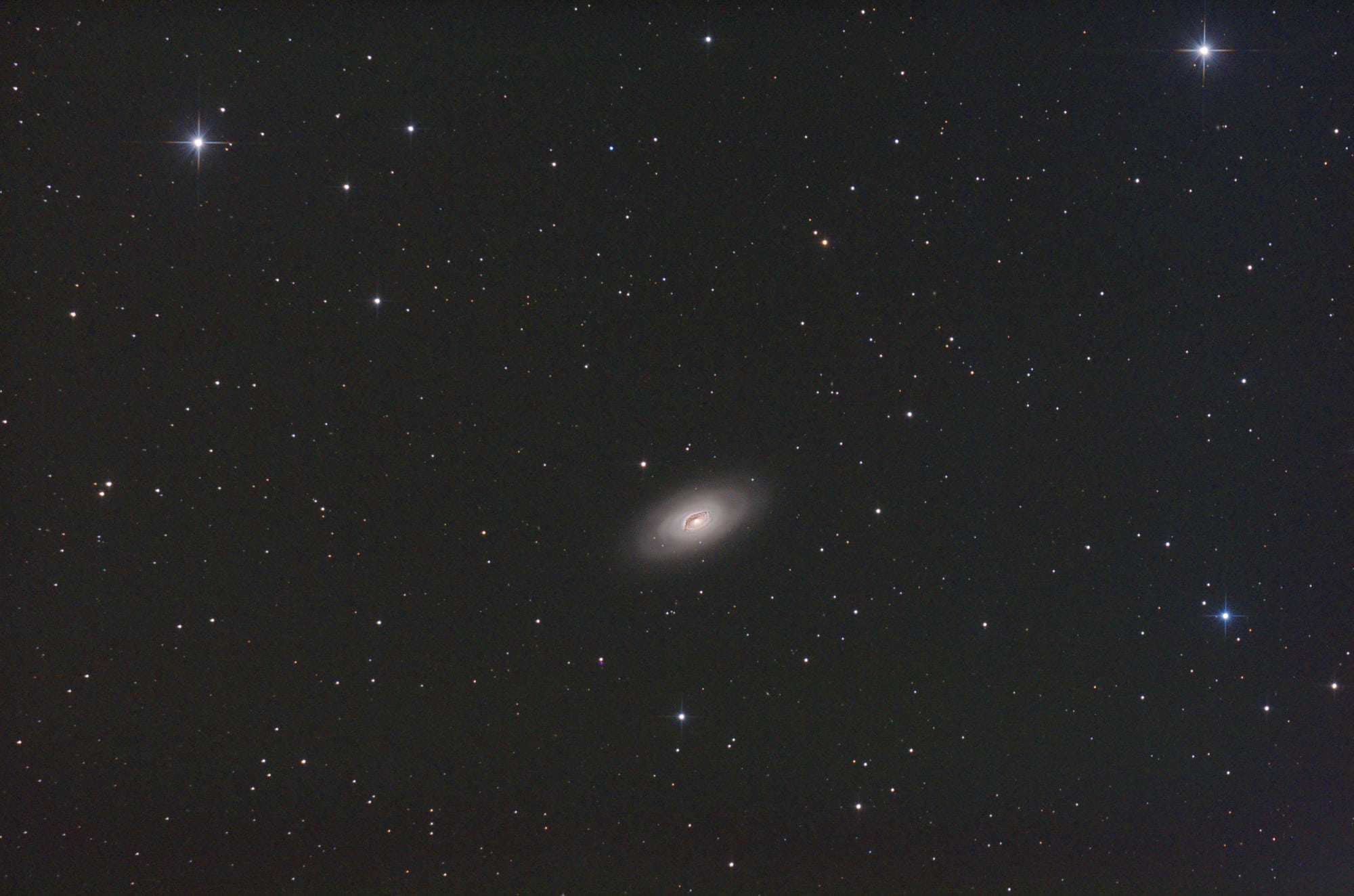 "Black Eye"-Galaxie Messier 64 - Spektrum der Wissenschaft