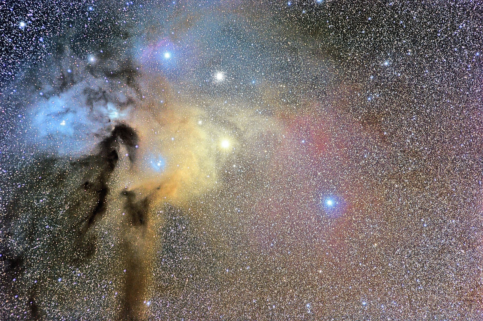 Region um Antares - Spektrum der Wissenschaft