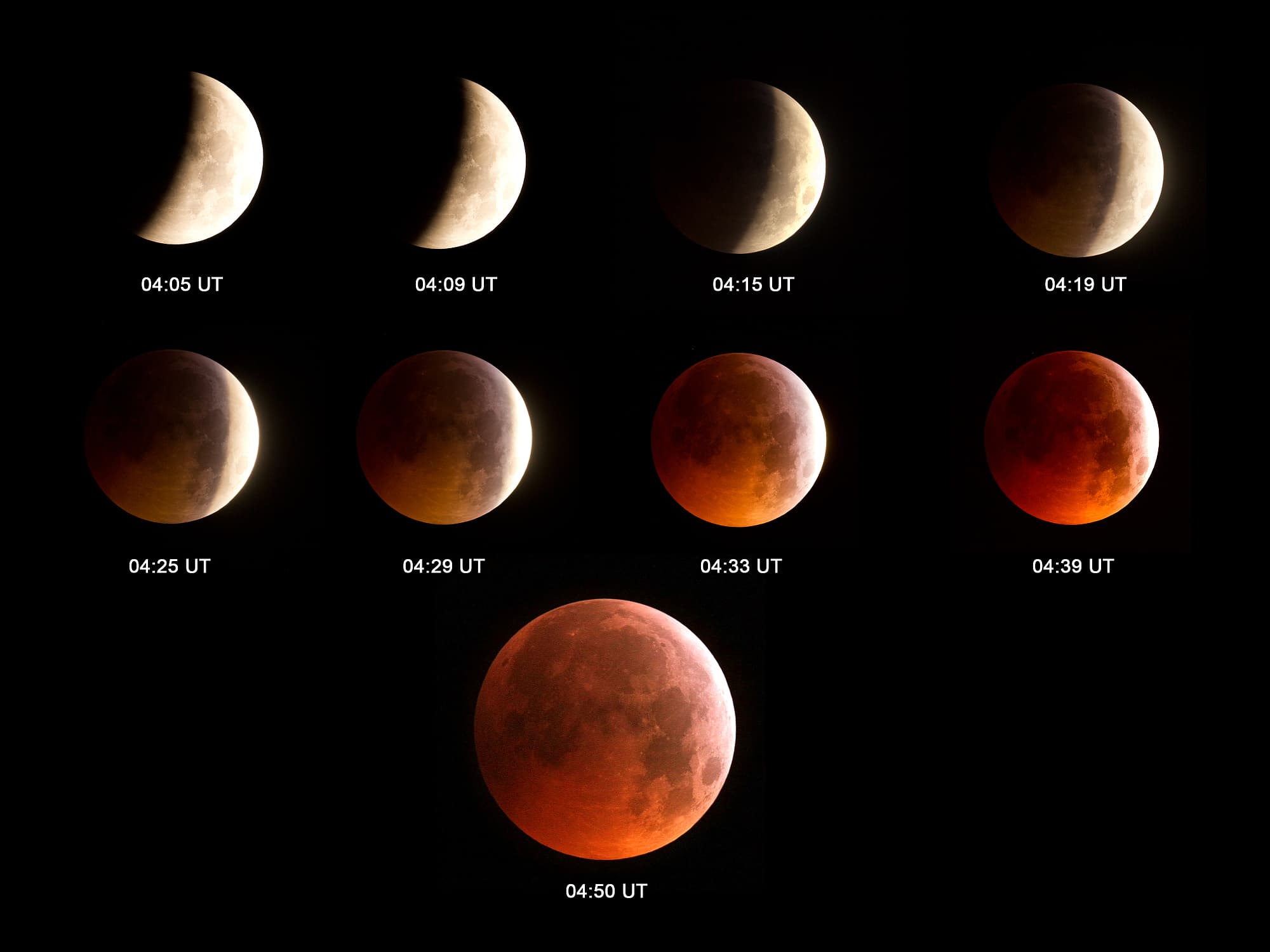 Phasen der Mondfinsternis 21. Januar 2019 - Spektrum der Wissenschaft