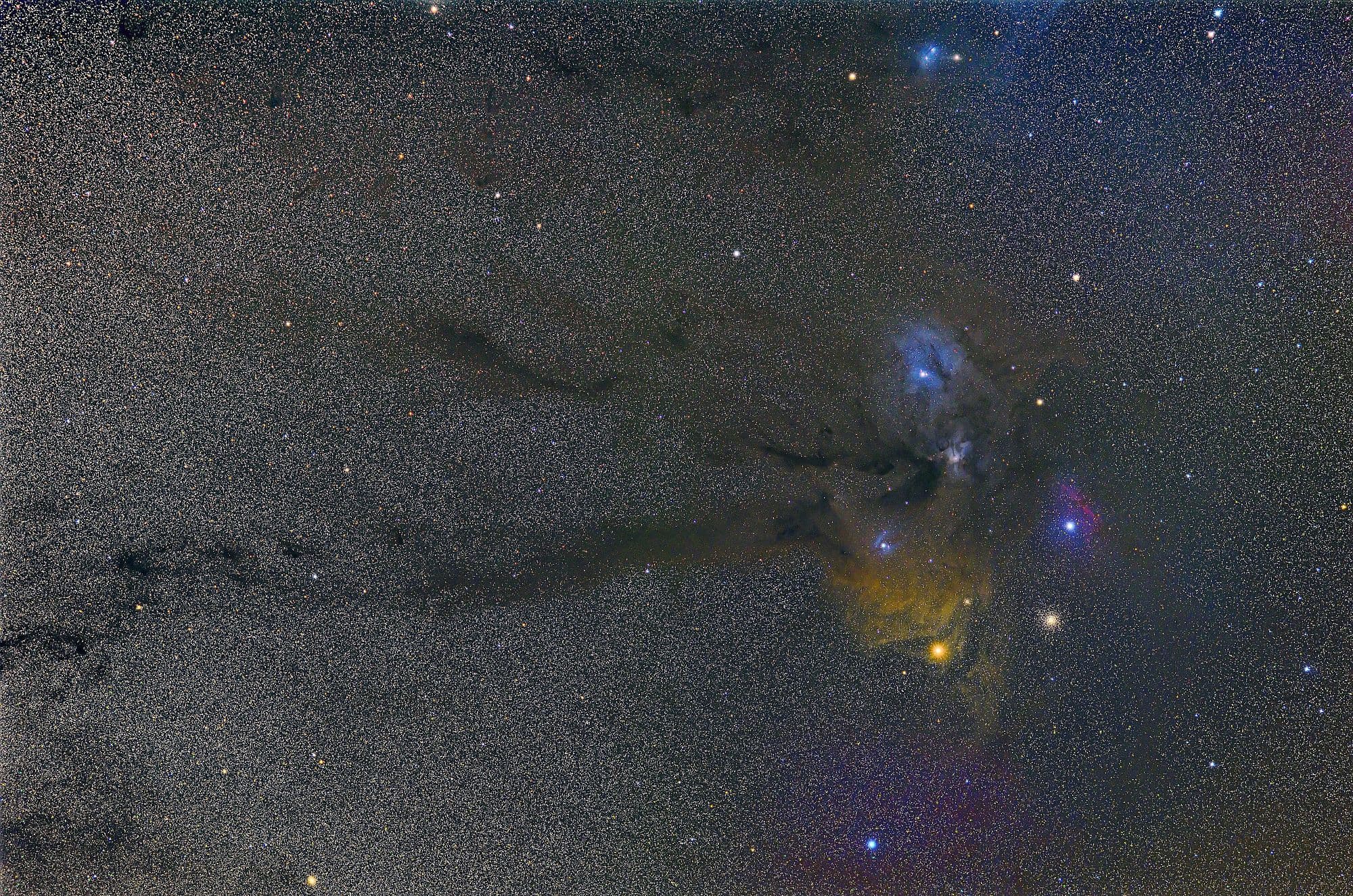 Antares-Region - Spektrum der Wissenschaft