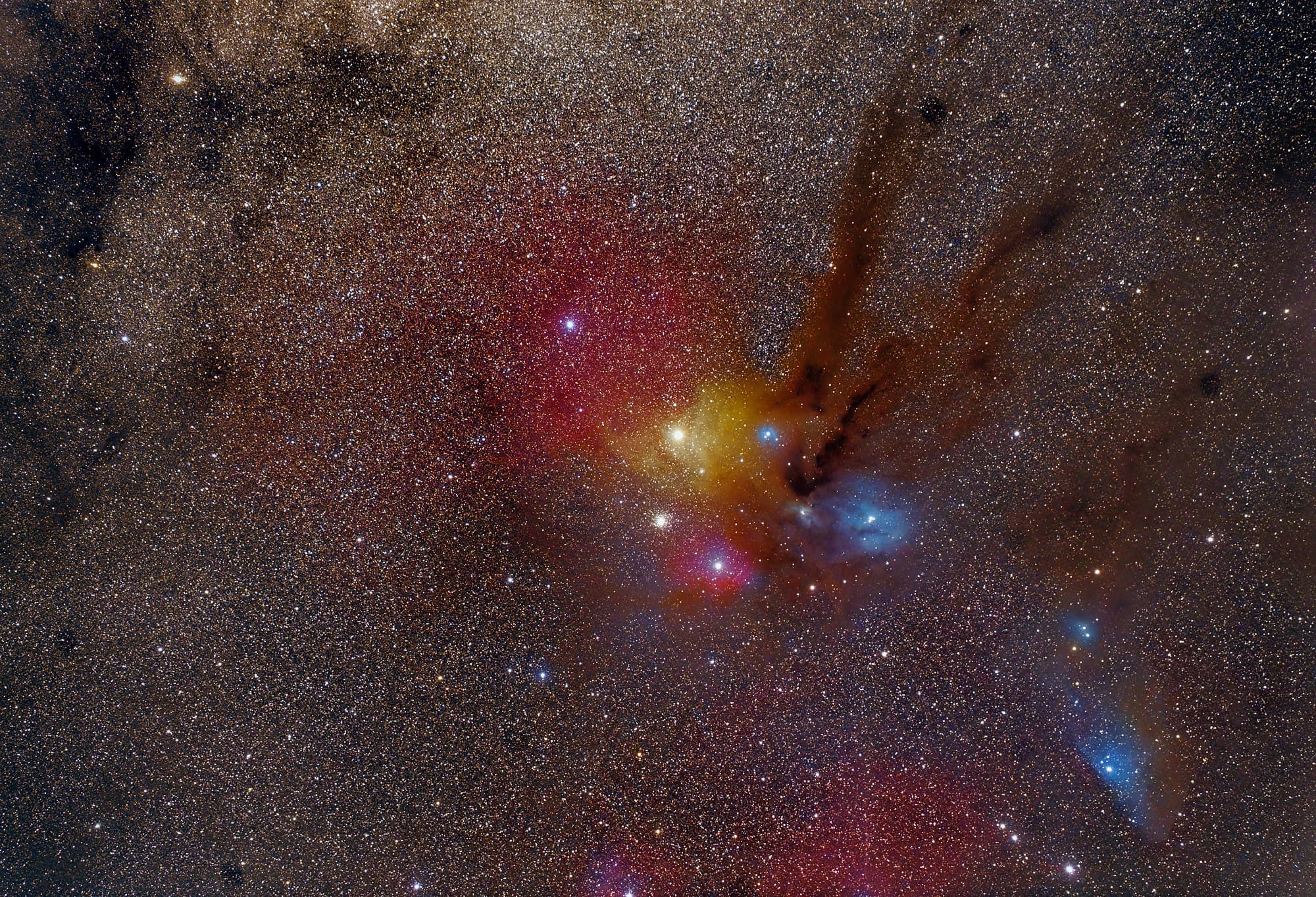 Antares-Region - Spektrum der Wissenschaft