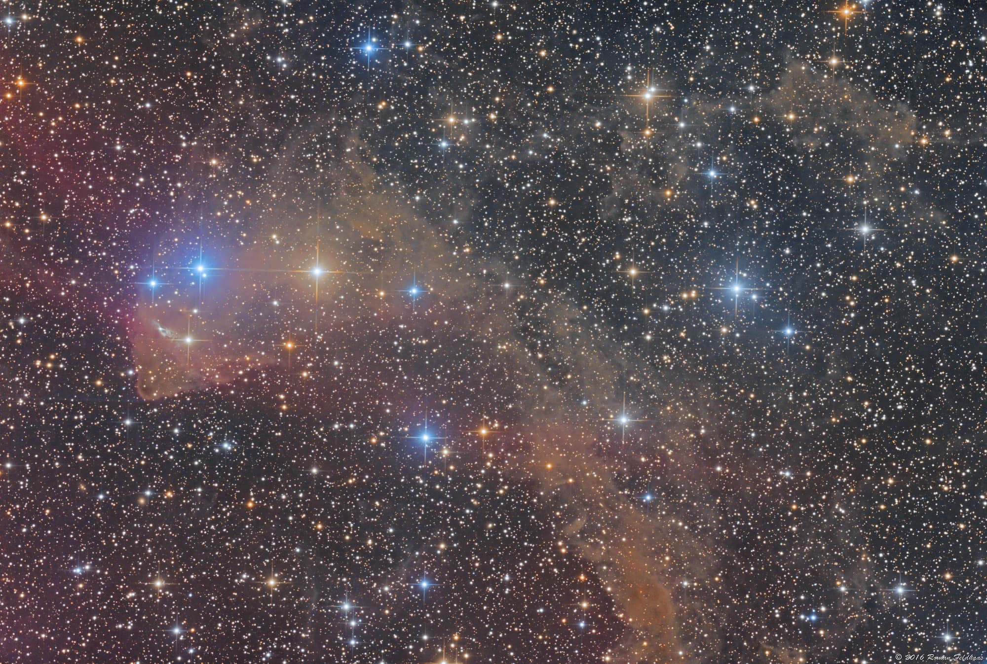 Molekülwolke LBN 437 - Spektrum der Wissenschaft