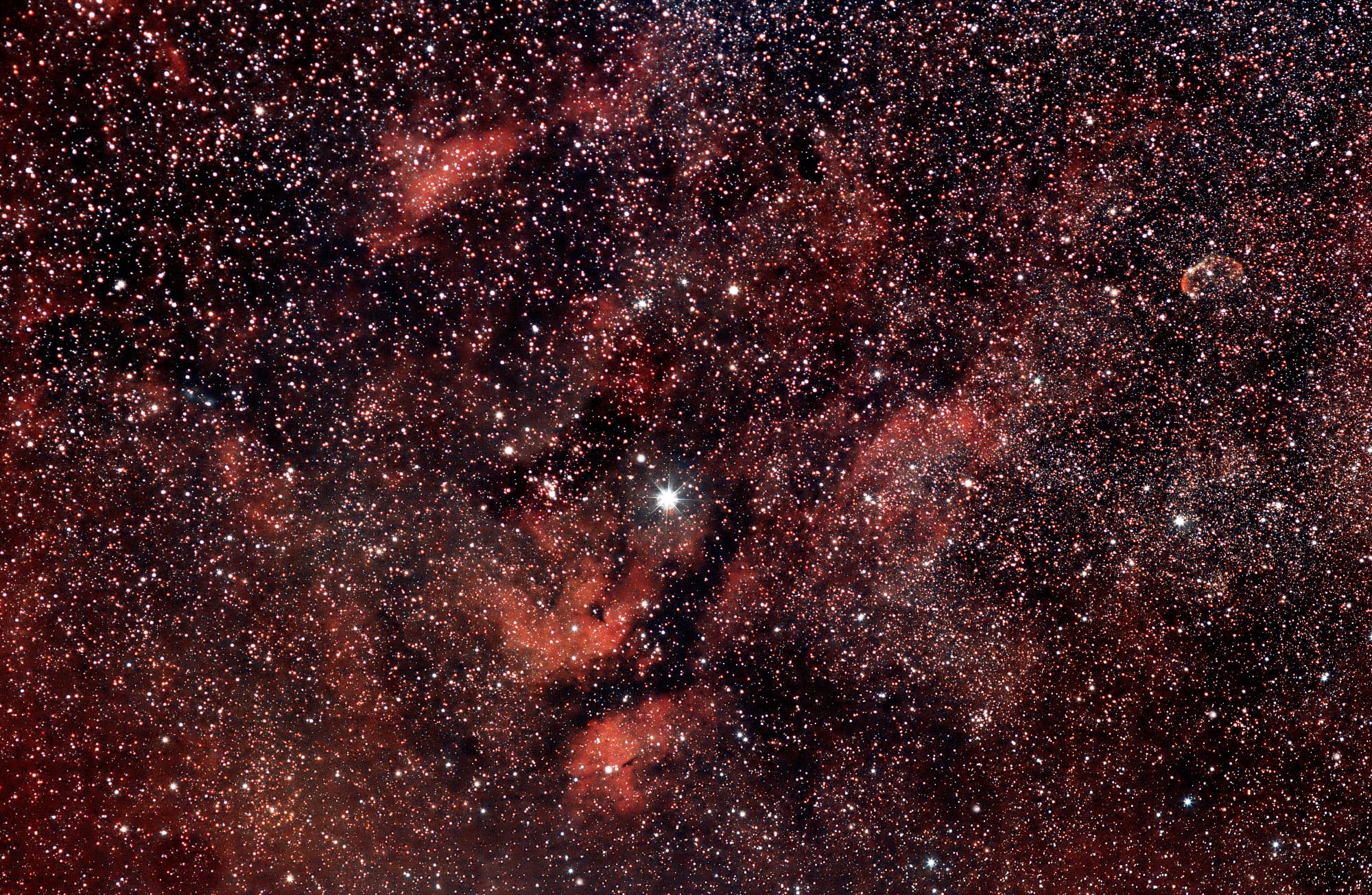 NEBULOSITY AROUND GAMMA CYGNI - Spektrum der Wissenschaft