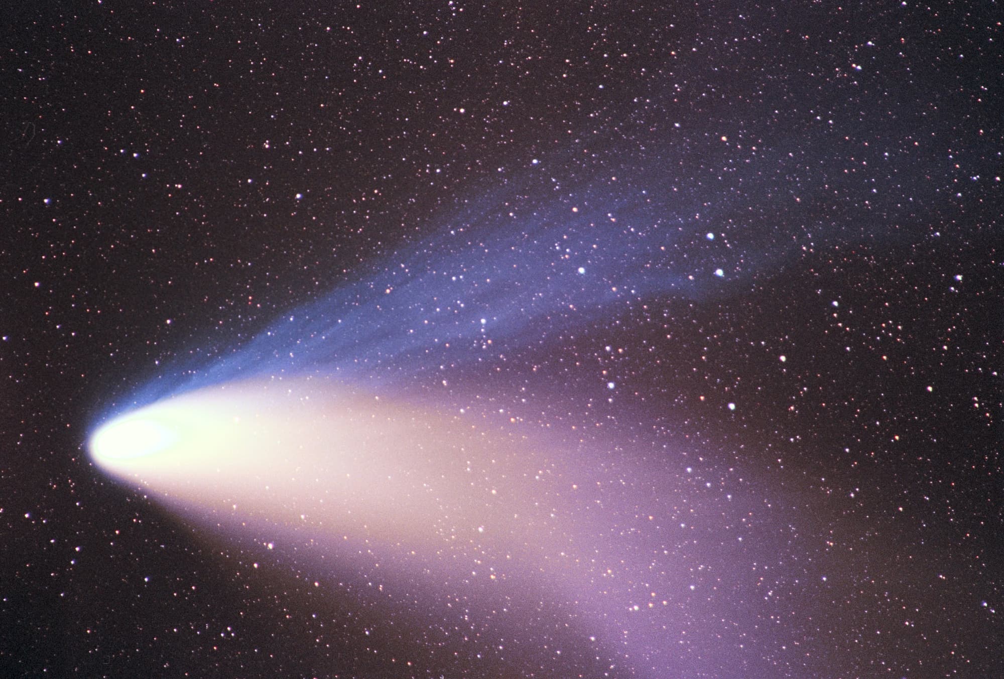 Hale-Bopp C/1995 - Spektrum der Wissenschaft