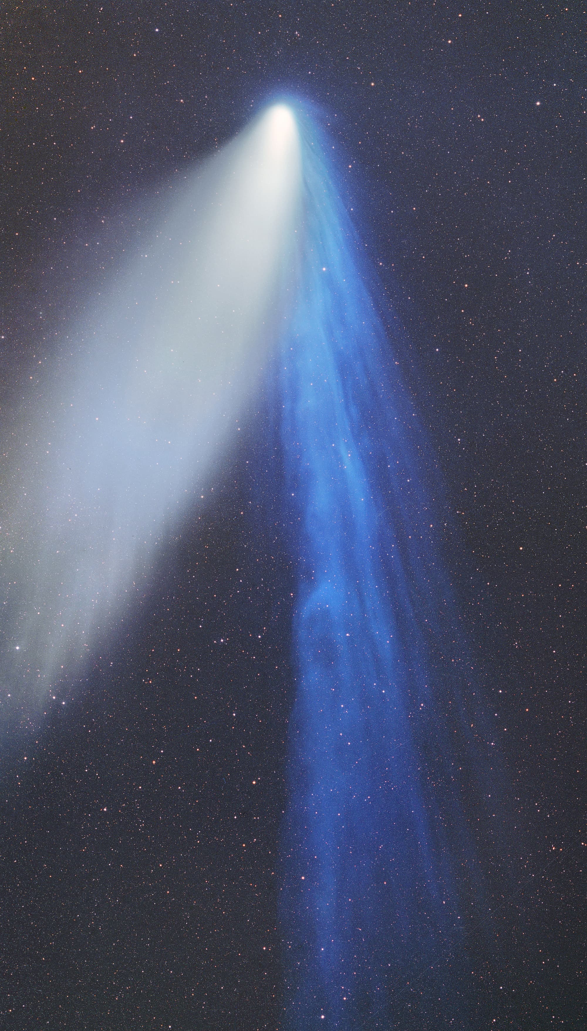 Komet C/1995 O1 Hale Bopp - Spektrum der Wissenschaft