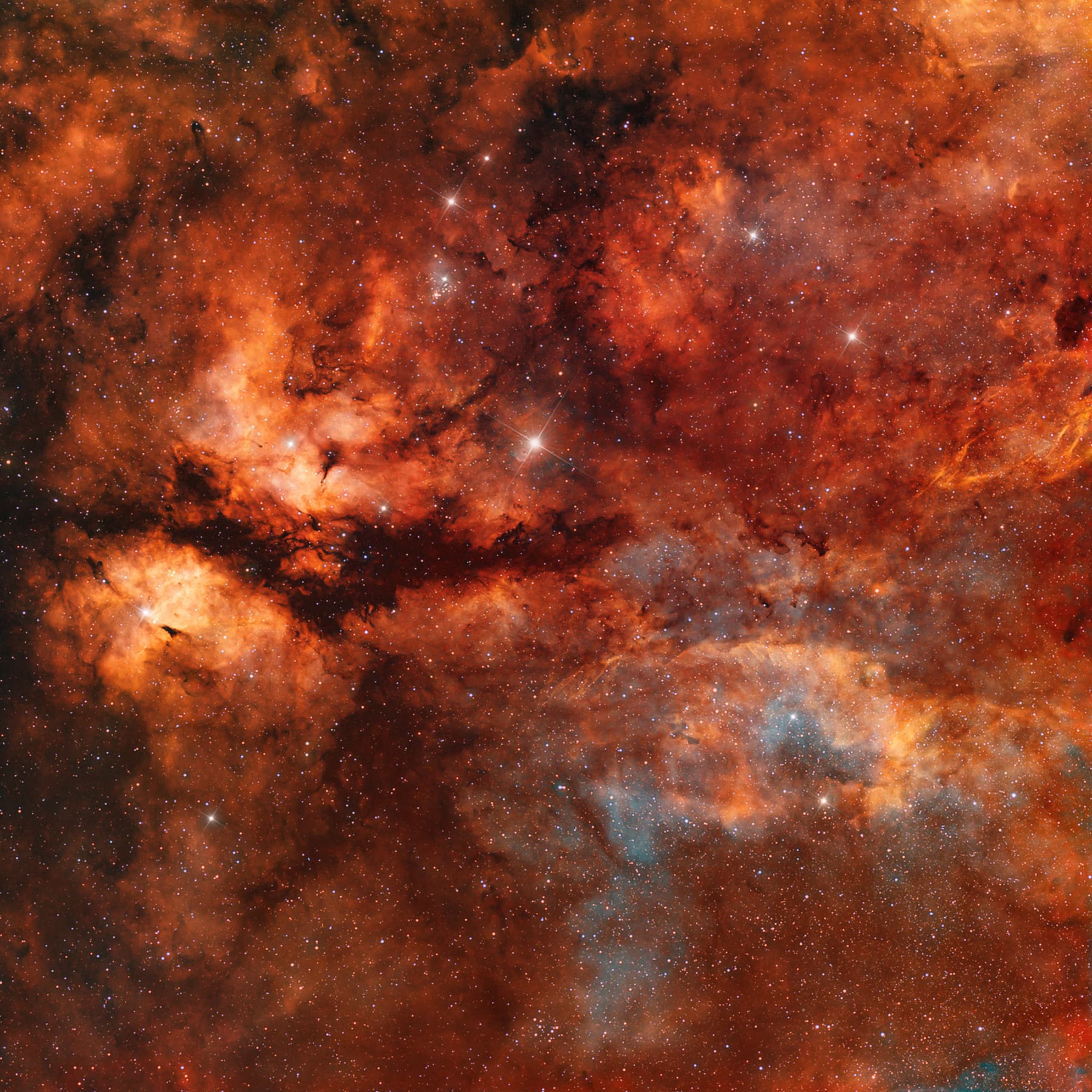 IC 1318 Butterfly-Nebel - Spektrum der Wissenschaft