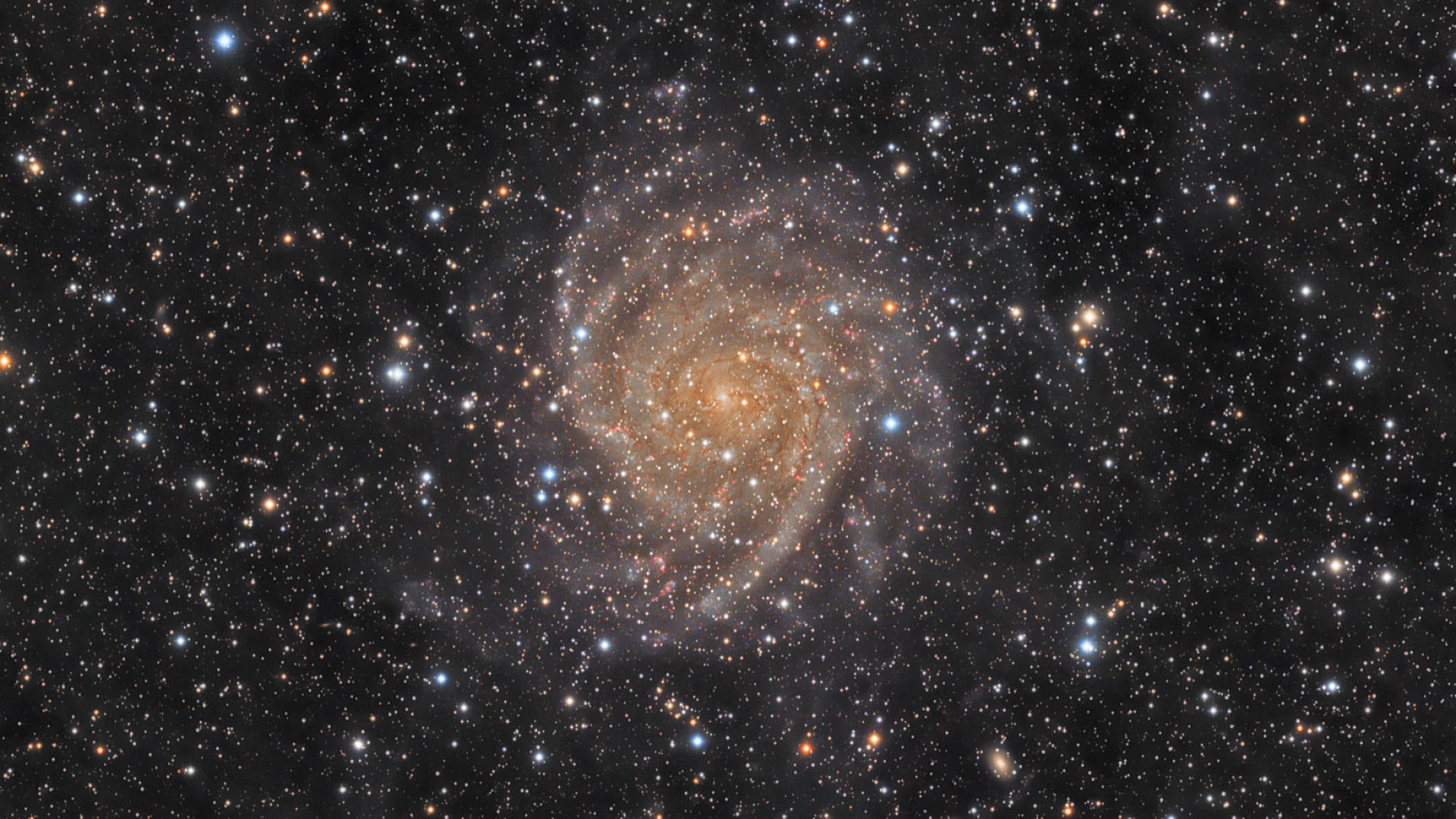 IC342 - Hidden Galaxy - Spektrum der Wissenschaft