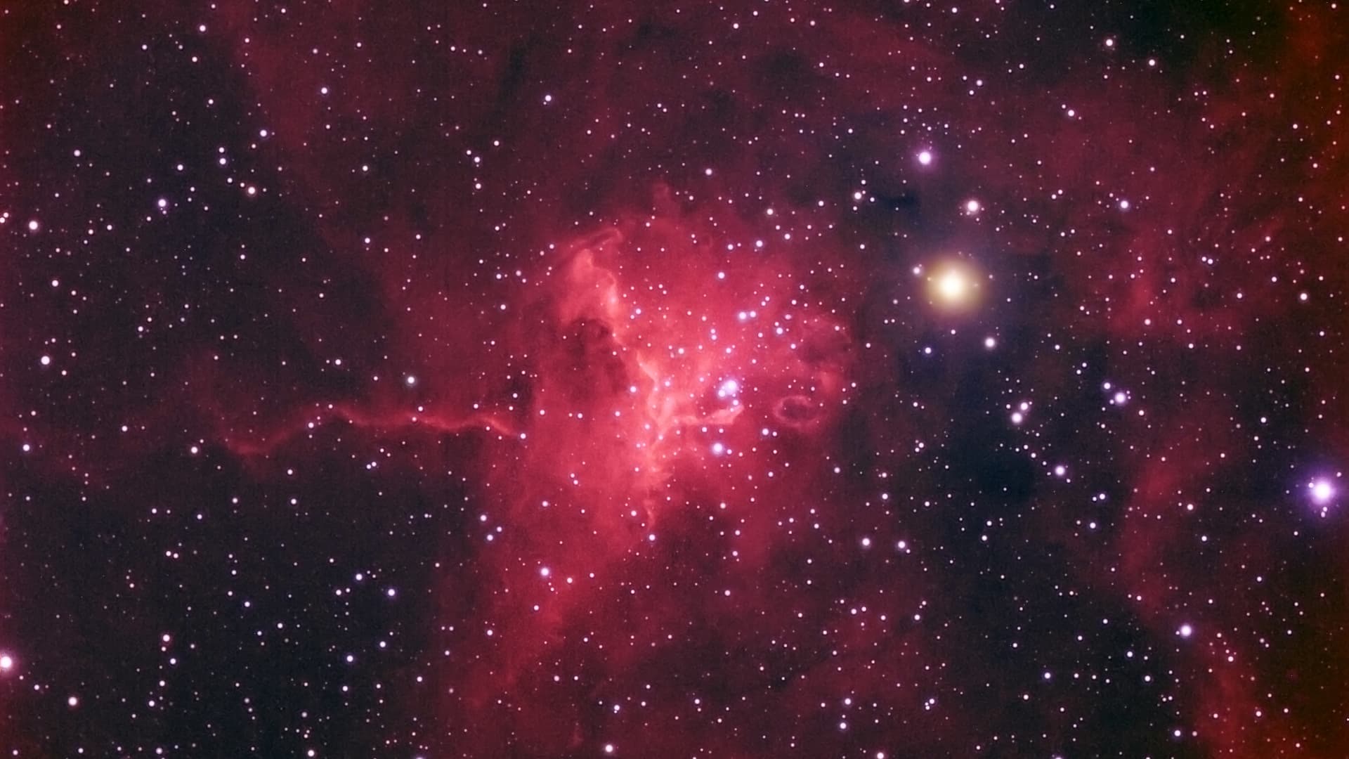 IC 417 - Spektrum der Wissenschaft