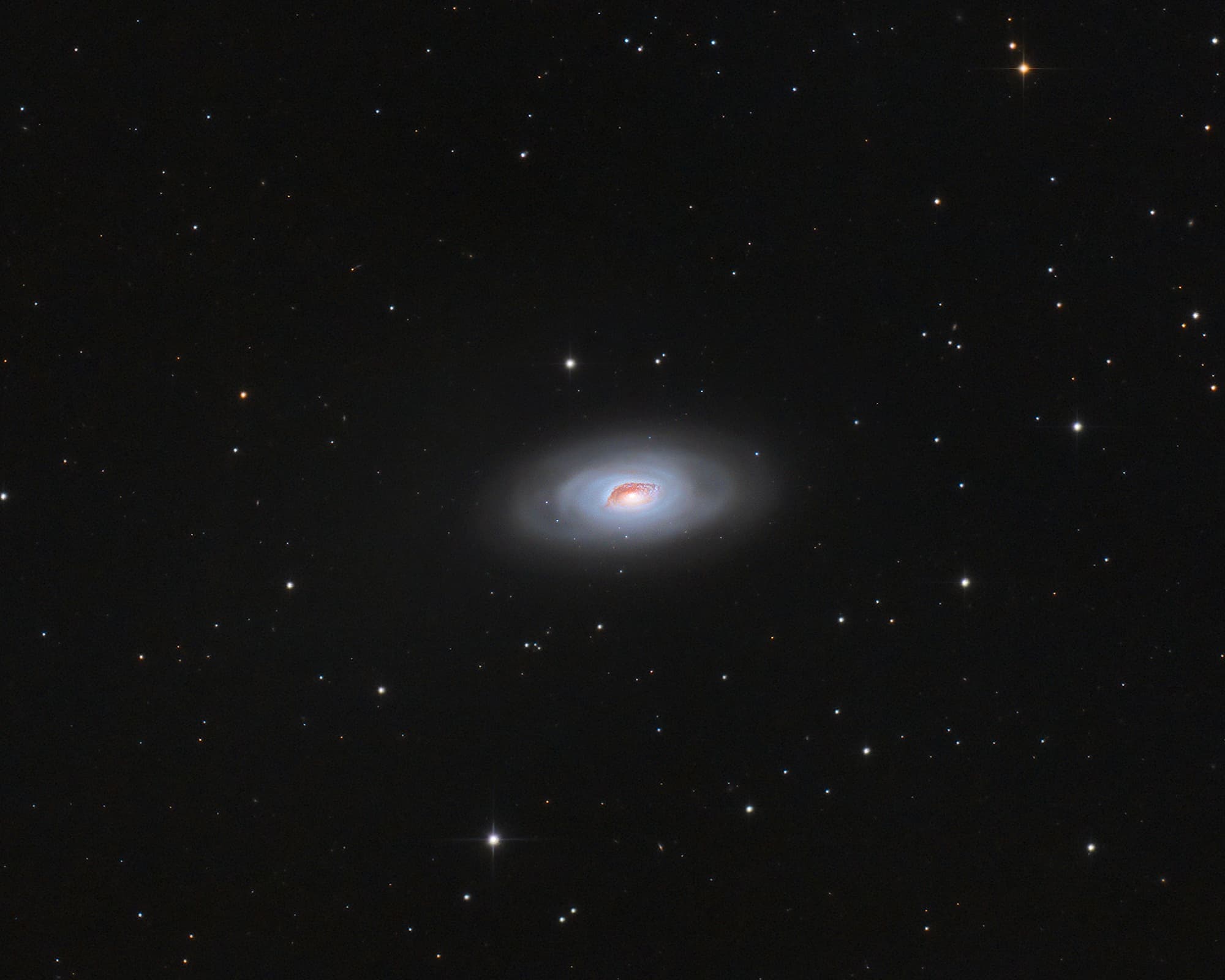 Messier 64 - Black Eye Galaxie - Spektrum der Wissenschaft