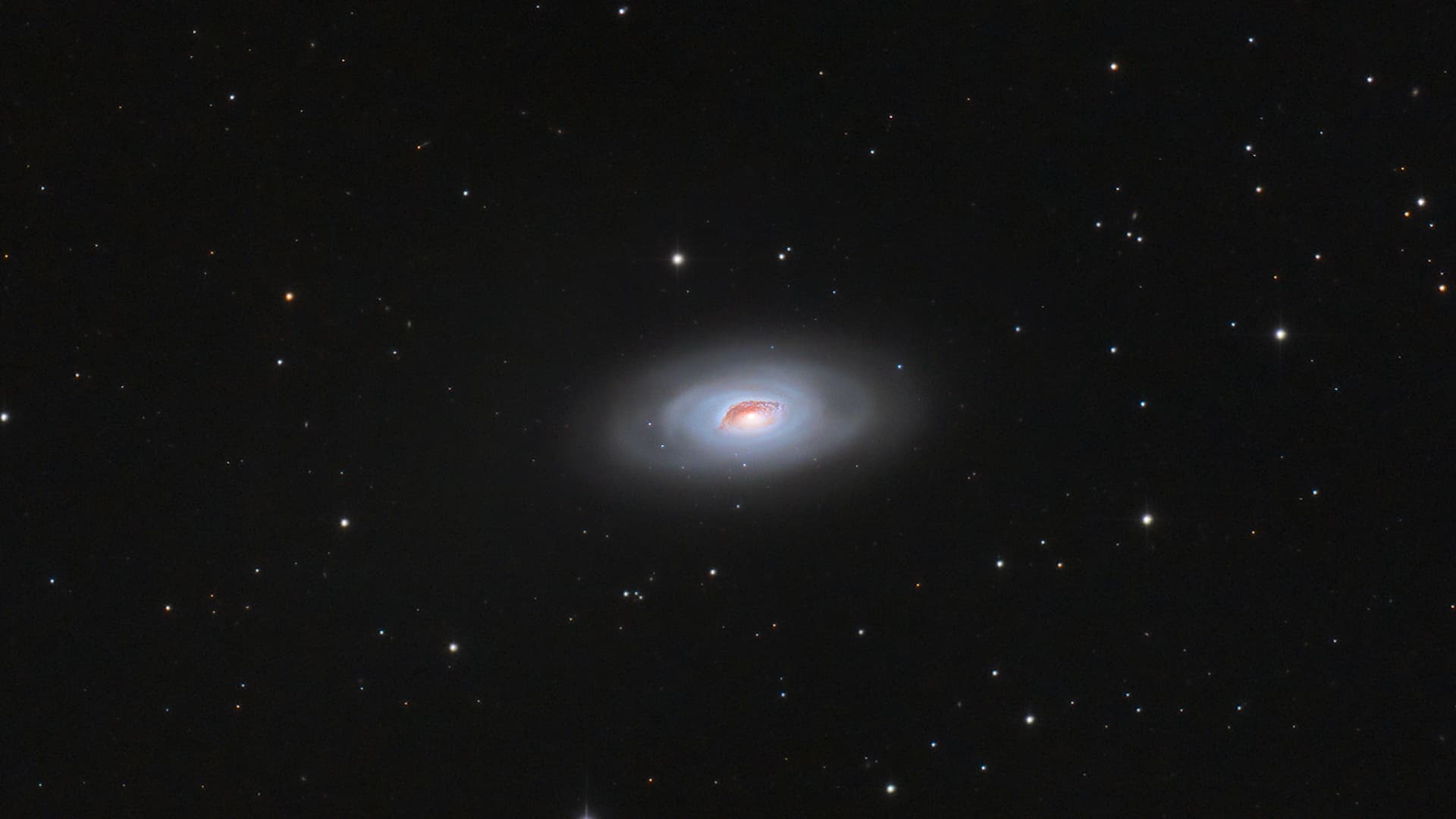 Messier 64 - Black Eye Galaxie - Spektrum der Wissenschaft
