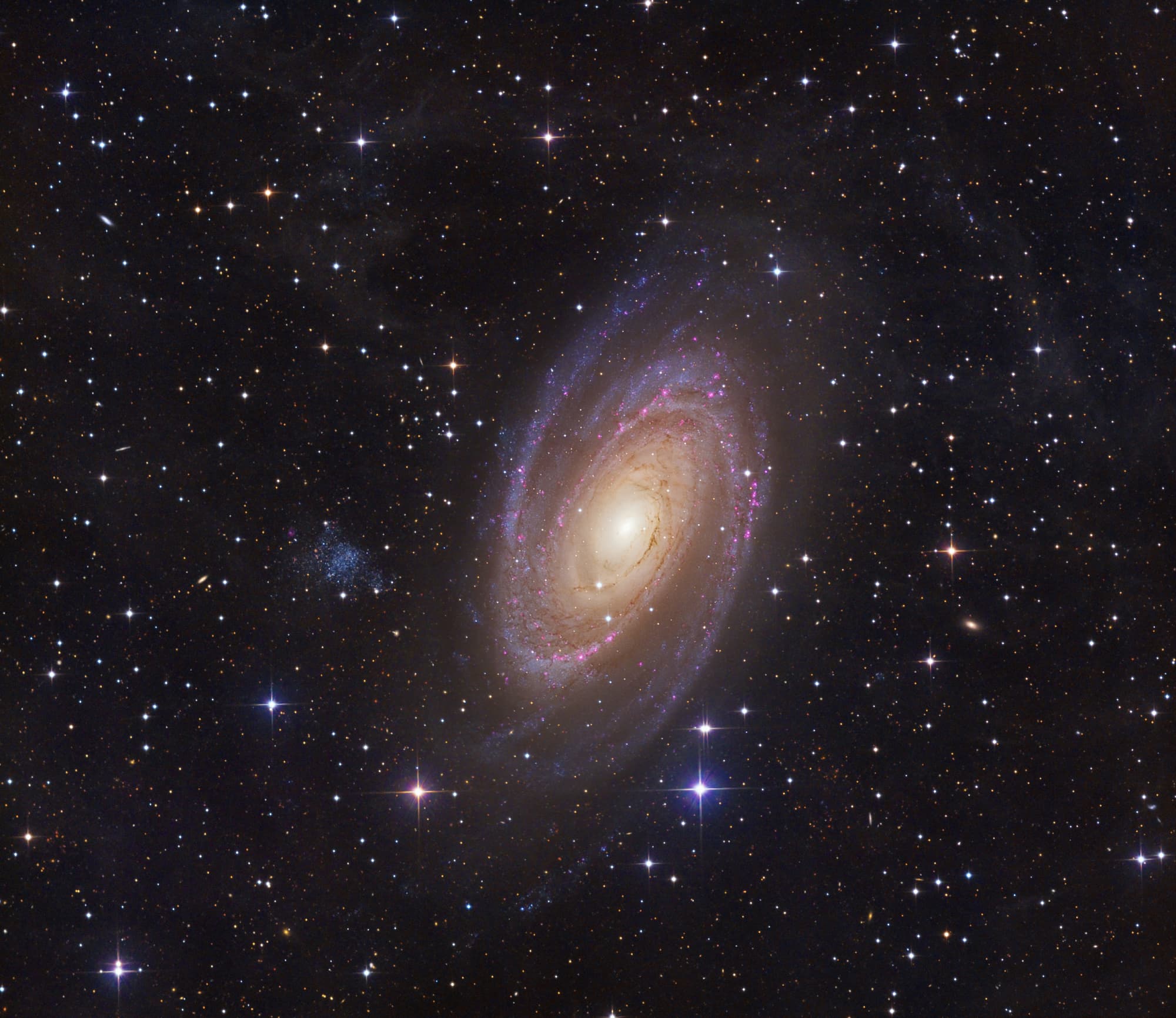 Messier 81 - Spektrum der Wissenschaft