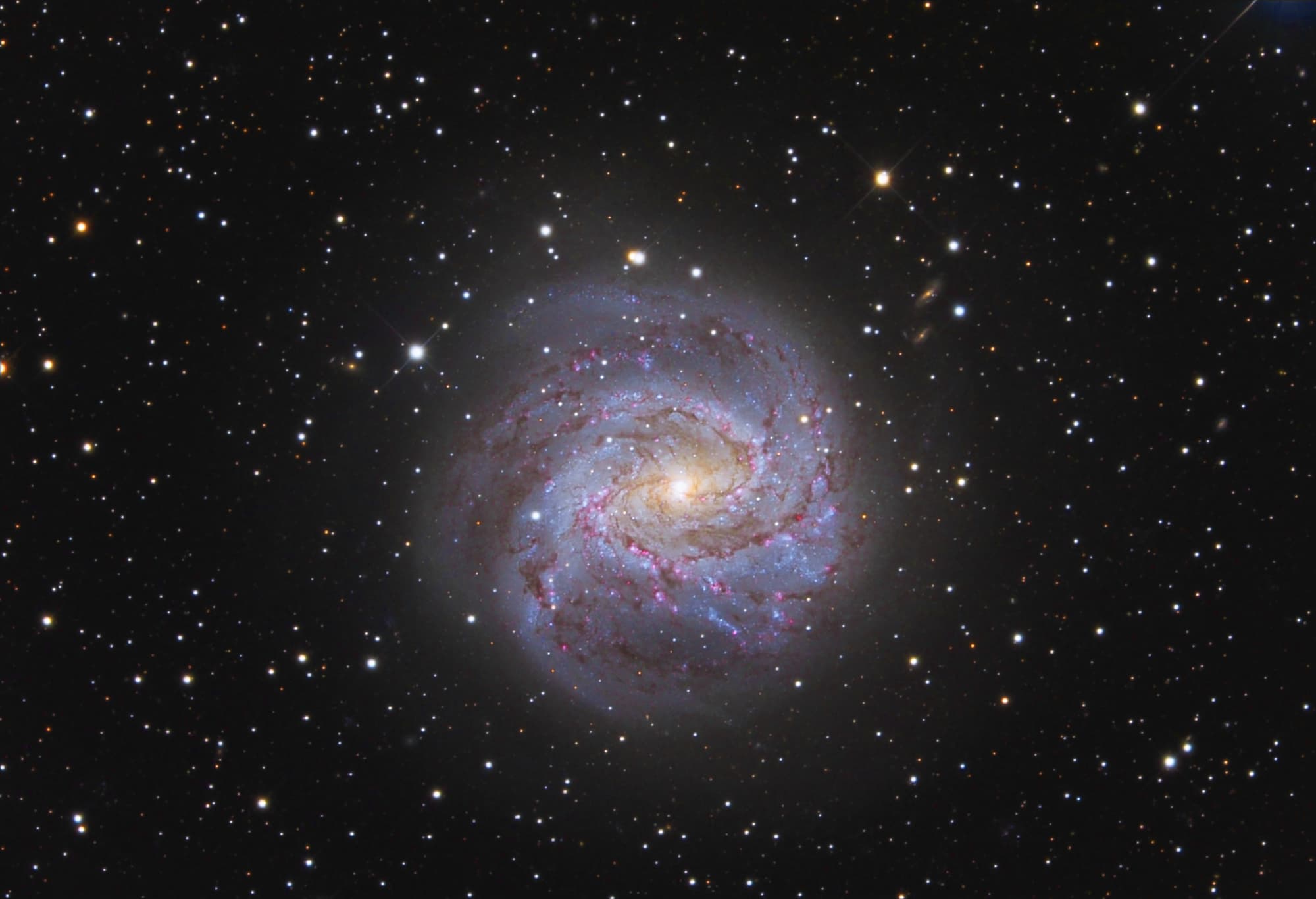 Messier 83 Southern Pinwheel Galaxy - Spektrum der Wissenschaft