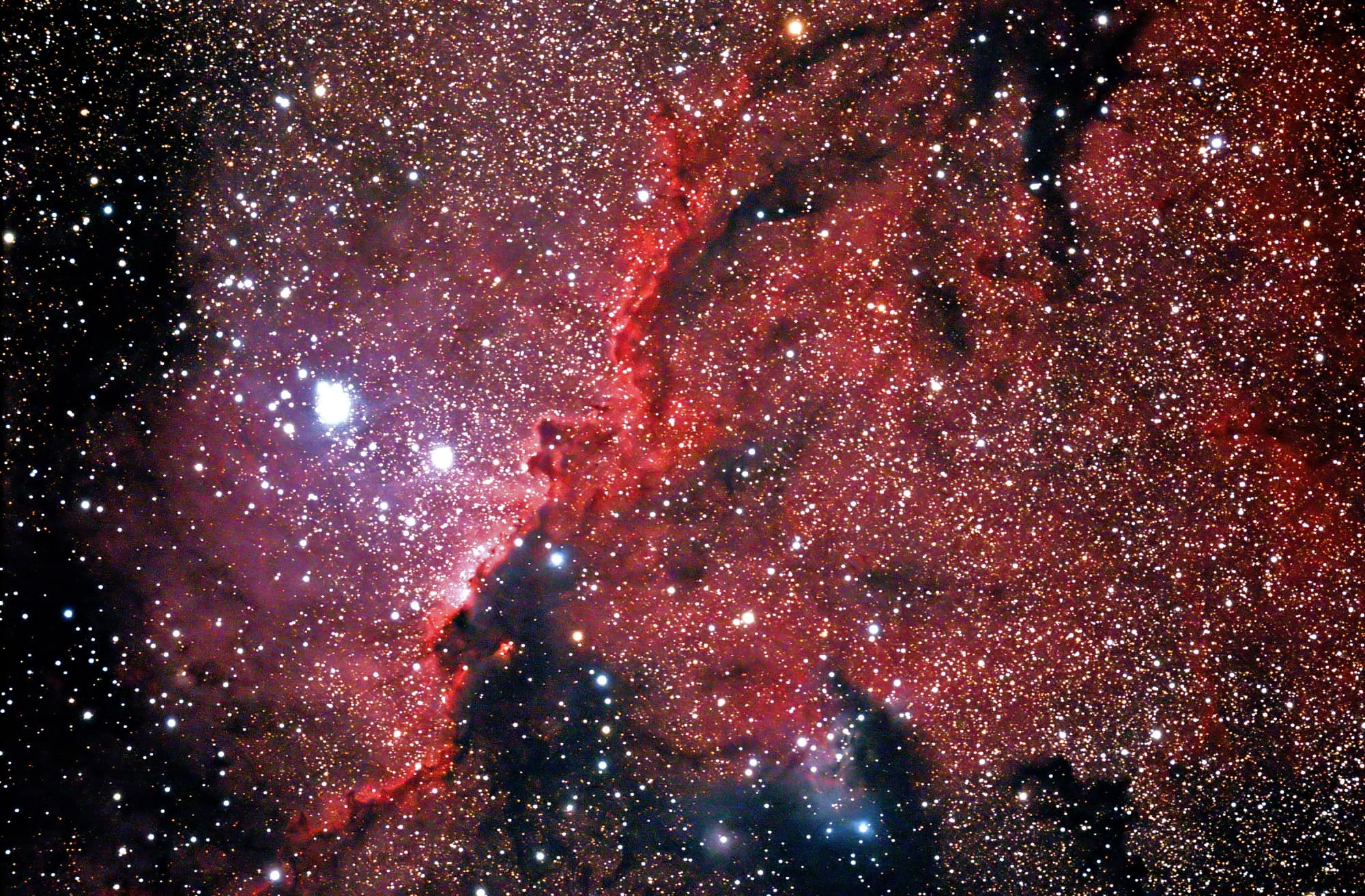 NGC 6193 in Ara - Spektrum der Wissenschaft