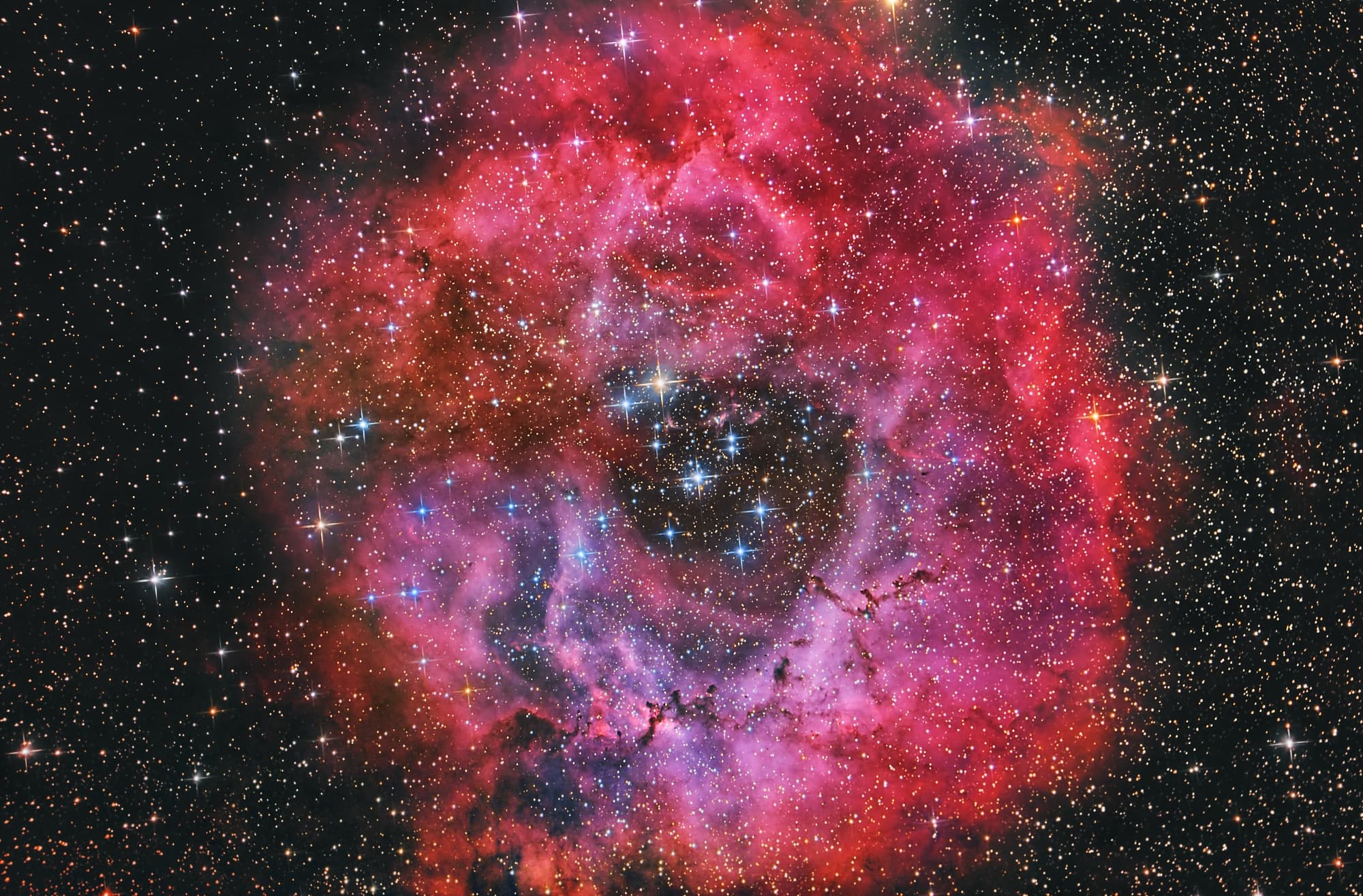 Rosettennebel NGC 2237 - Spektrum der Wissenschaft