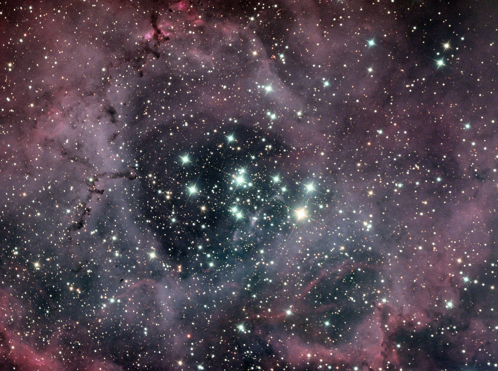 Der offene Sternhaufen NGC 2244 eingebettet in den Rosettennebel NGC ...
