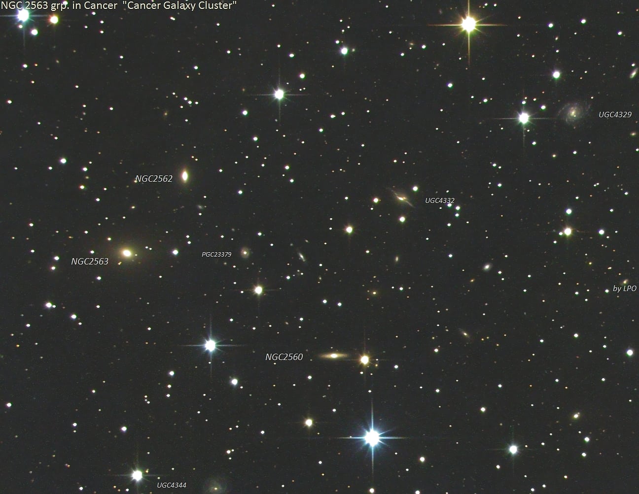 NGC 2563 - "Cancer Galaxy cluster" - Spektrum der Wissenschaft