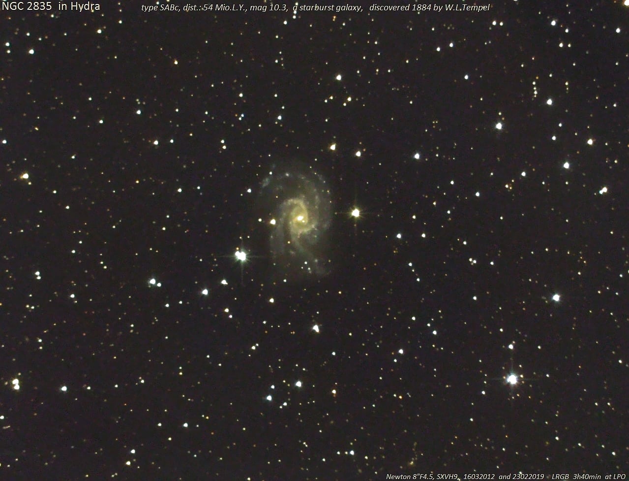 NGC 2835 in Hydra - Spektrum der Wissenschaft