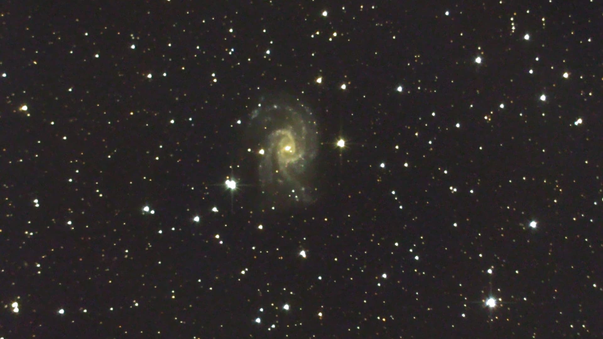 NGC 2835 in Hydra - Spektrum der Wissenschaft