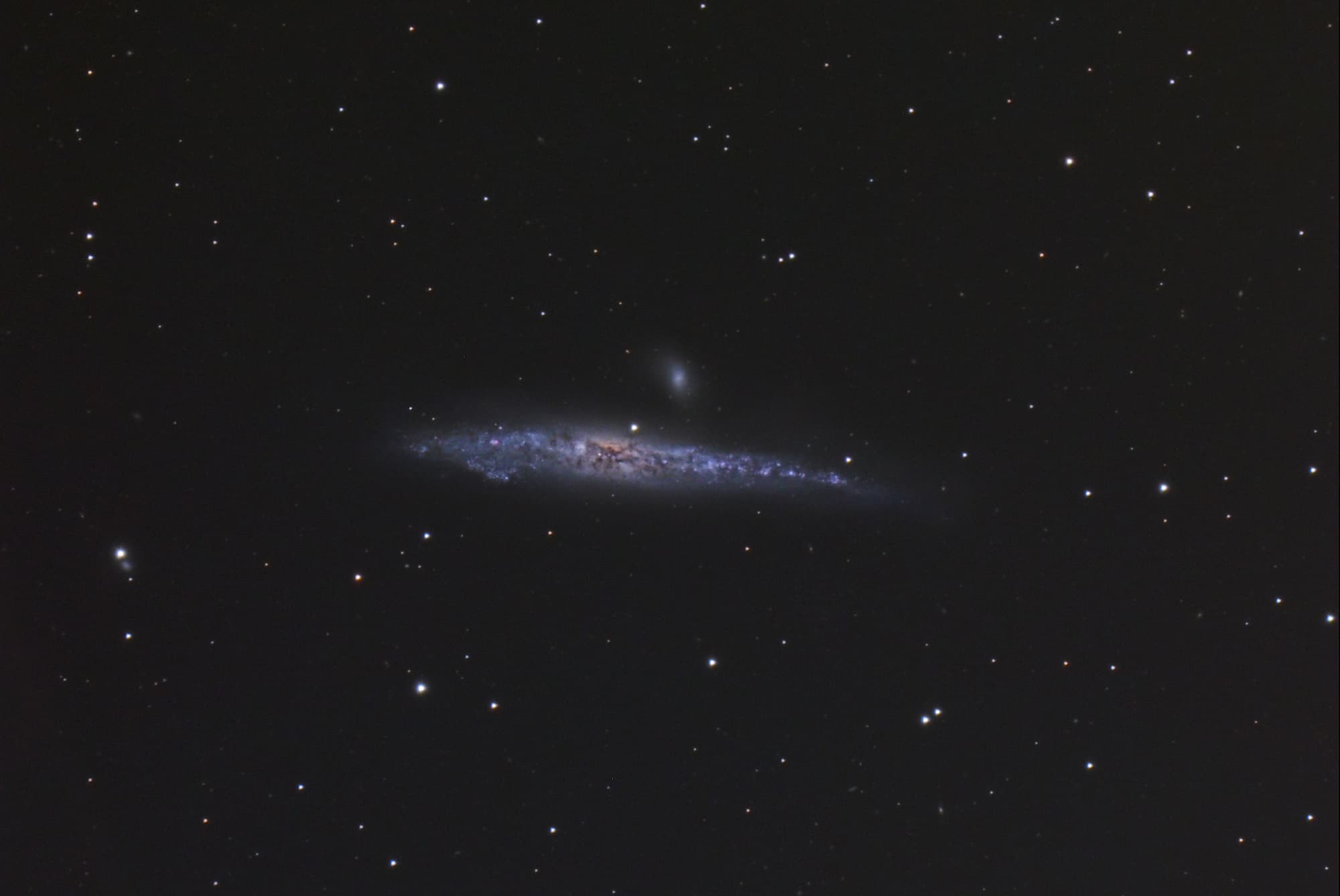 NGC 4631 - die Walgalaxie - Spektrum der Wissenschaft