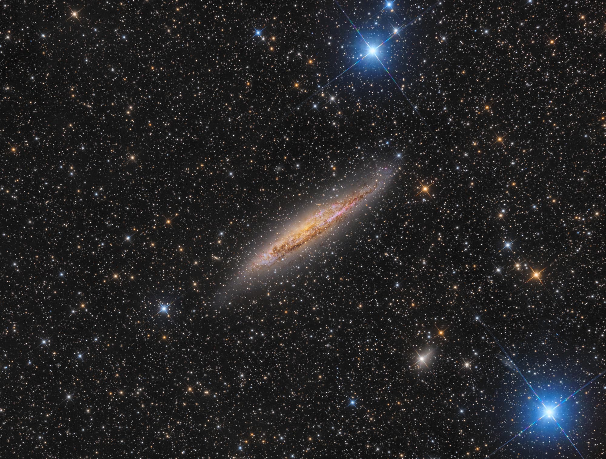 NGC 4945 - Spektrum der Wissenschaft
