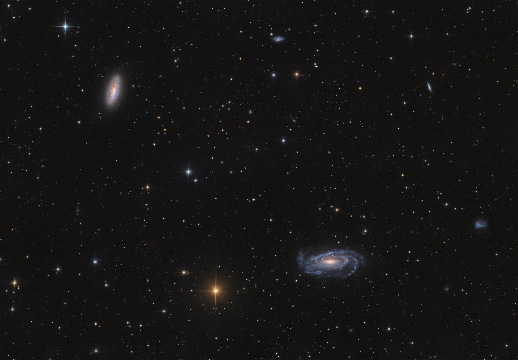 Die Wasserkäfer-Galaxie - NGC 5033 - Spektrum der Wissenschaft