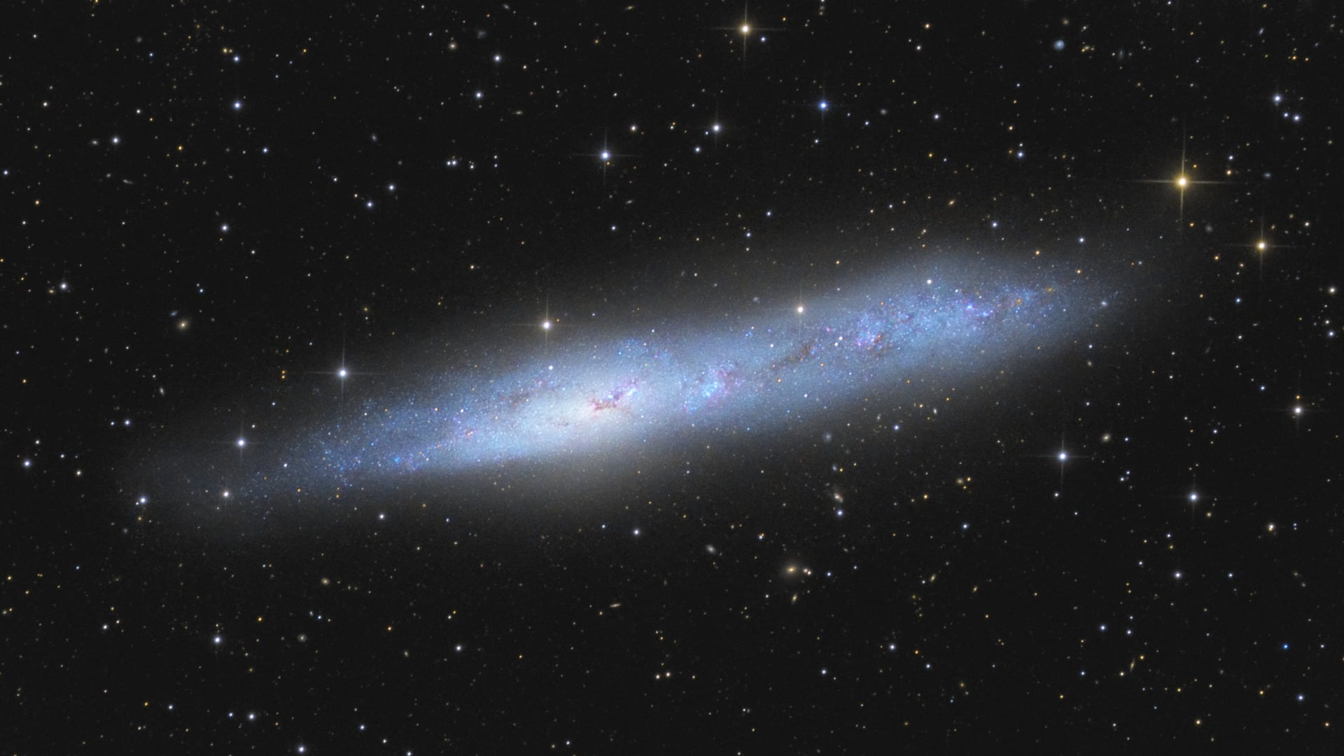 NGC 55 - Spektrum der Wissenschaft