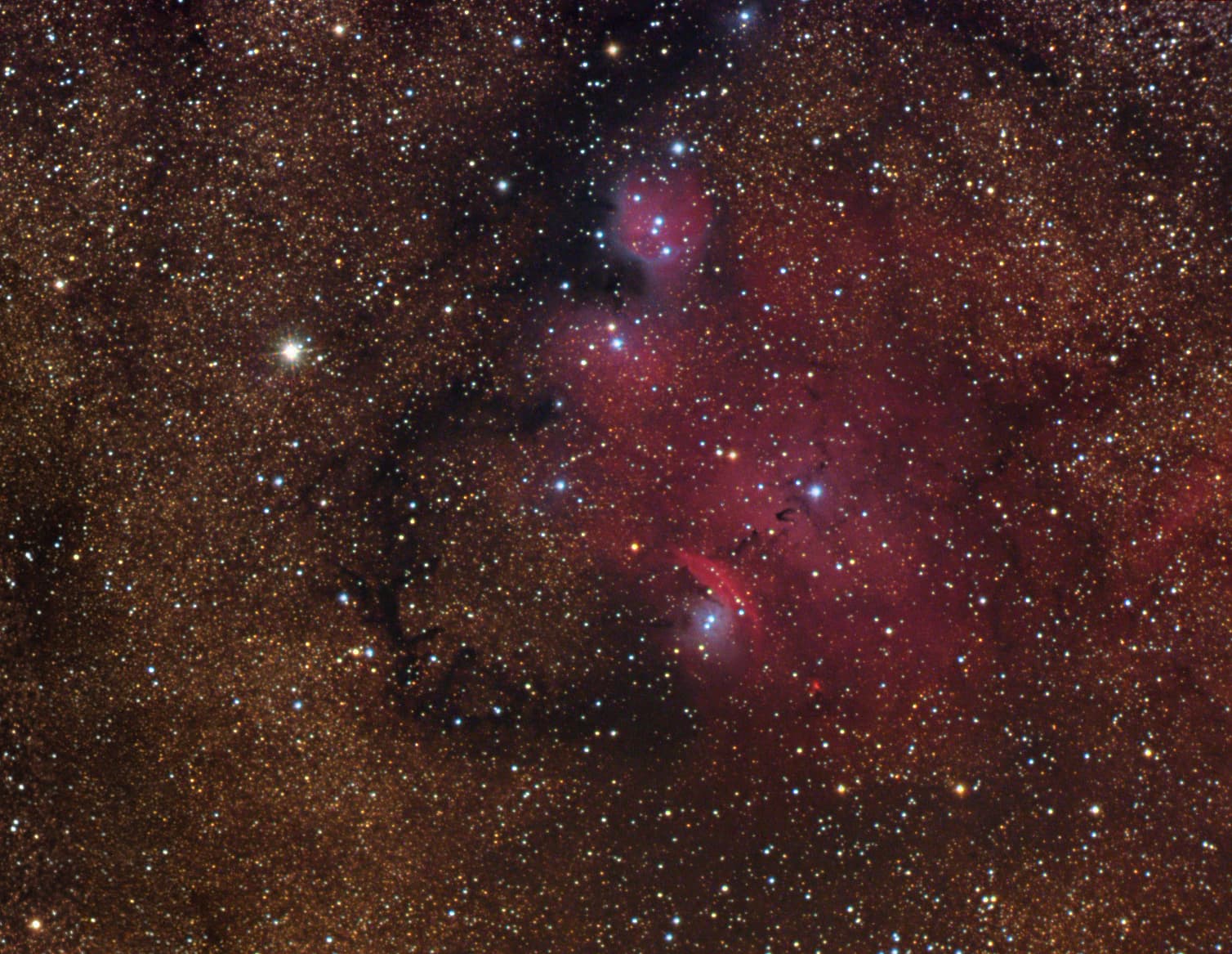 NGC 6559 - Spektrum der Wissenschaft