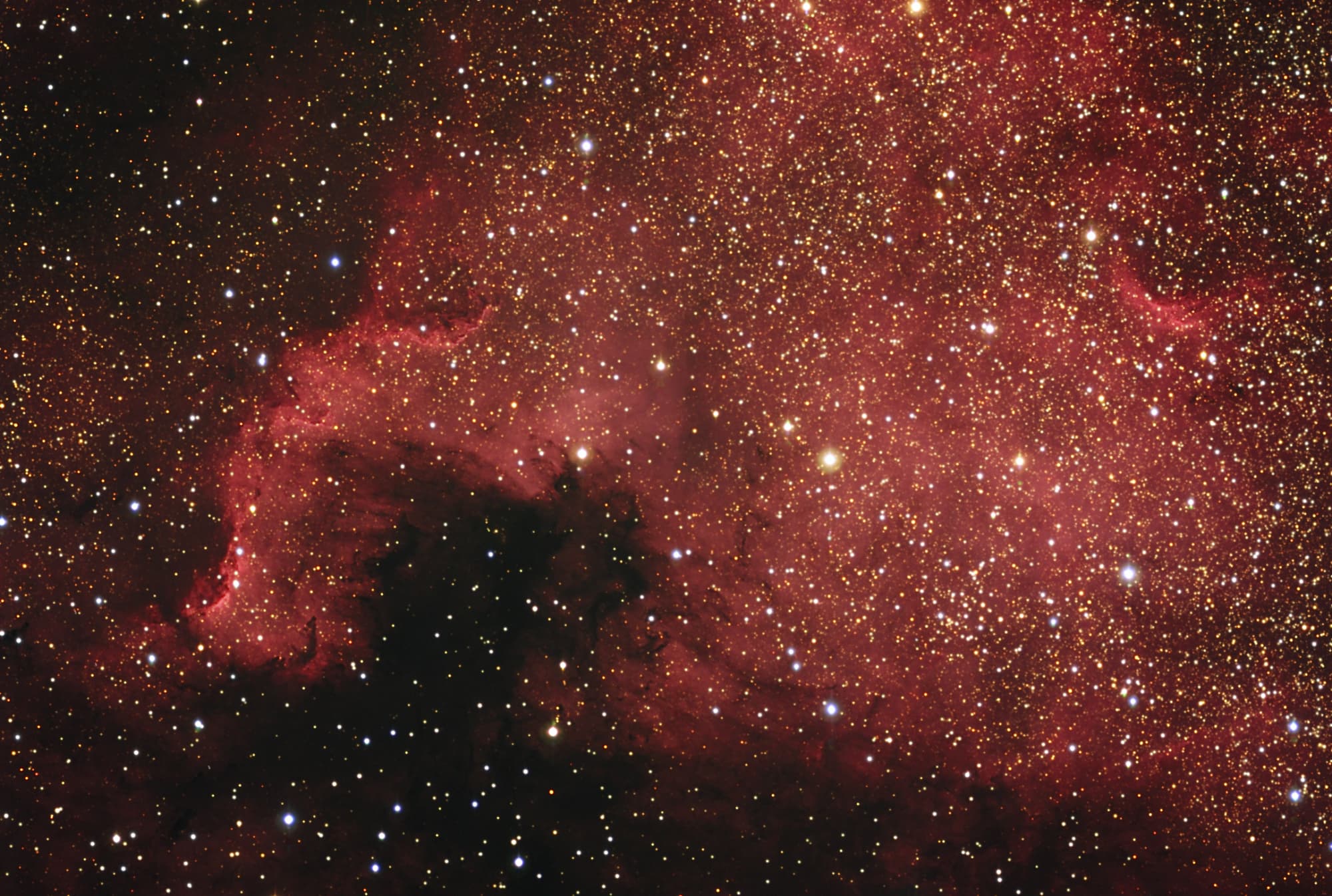 The North America Nebula NGC 7000 - Spektrum der Wissenschaft
