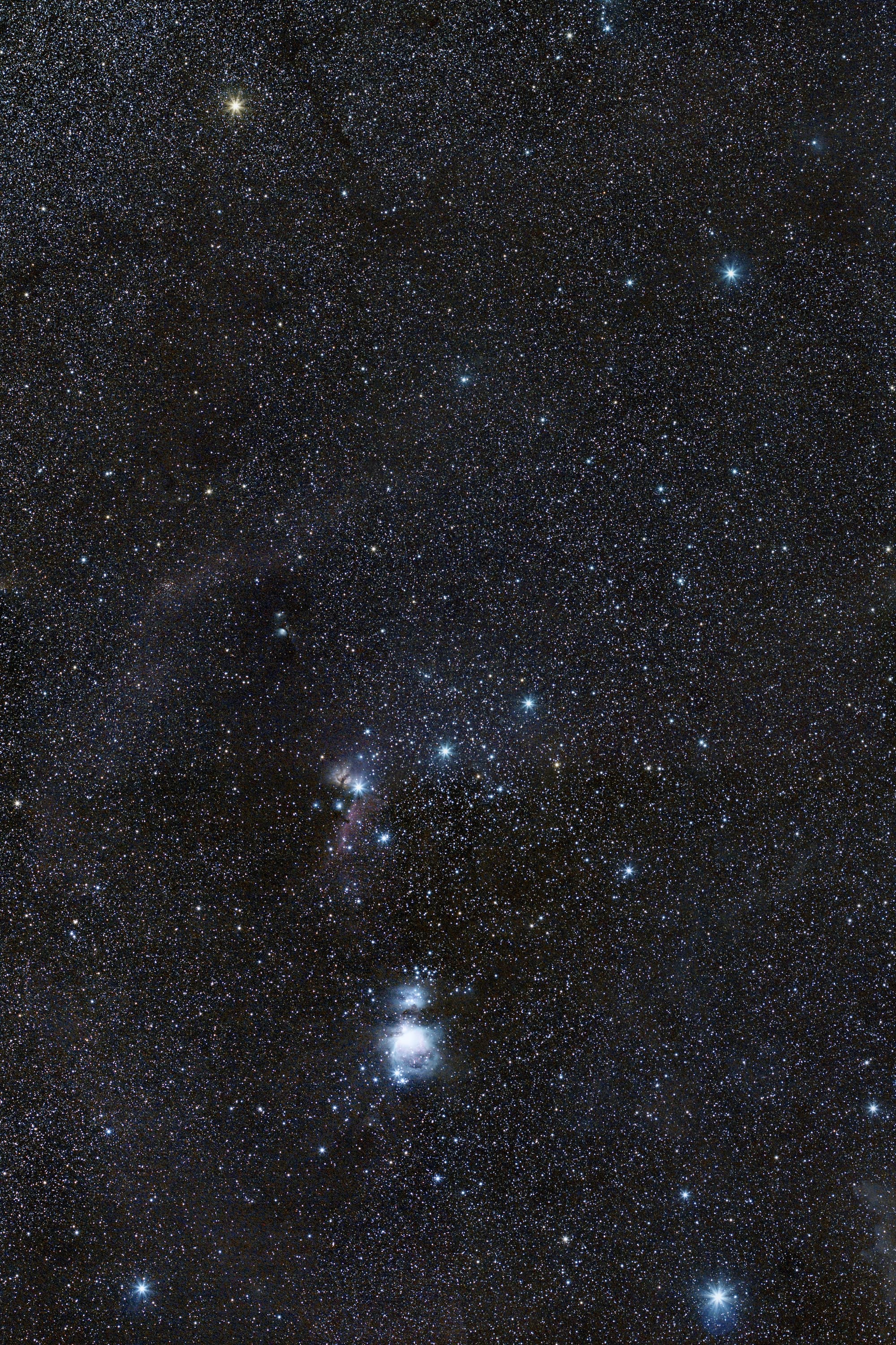 Sternbild Orion - Spektrum der Wissenschaft