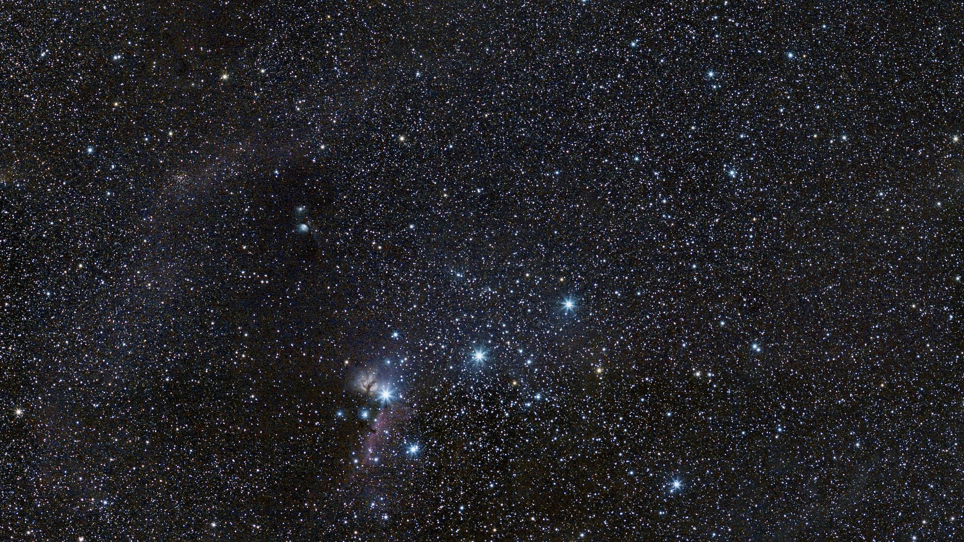 Sternbild Orion - Spektrum der Wissenschaft