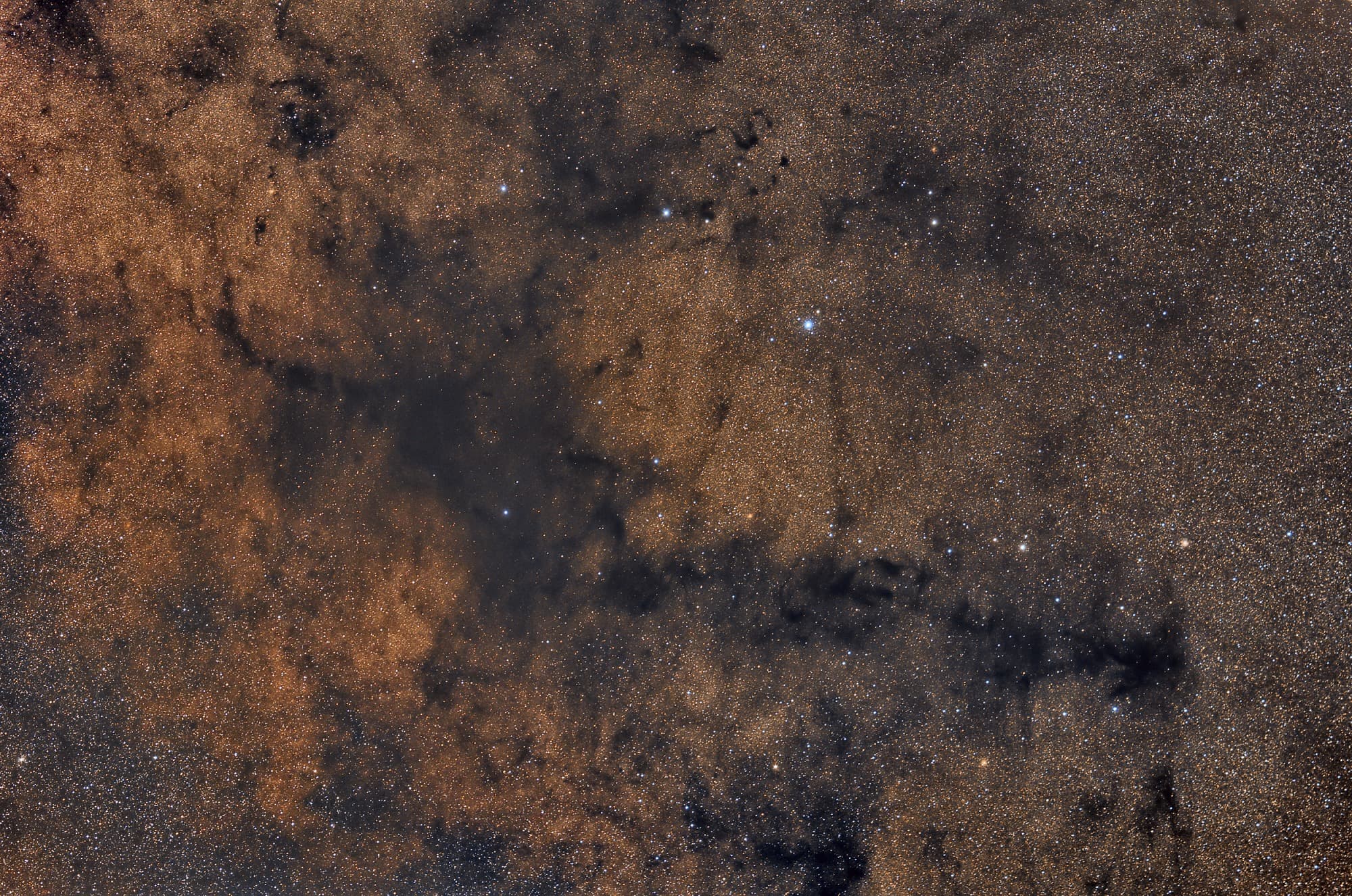 Barnard 59-78 - Der Pfeifennebel - Spektrum der Wissenschaft