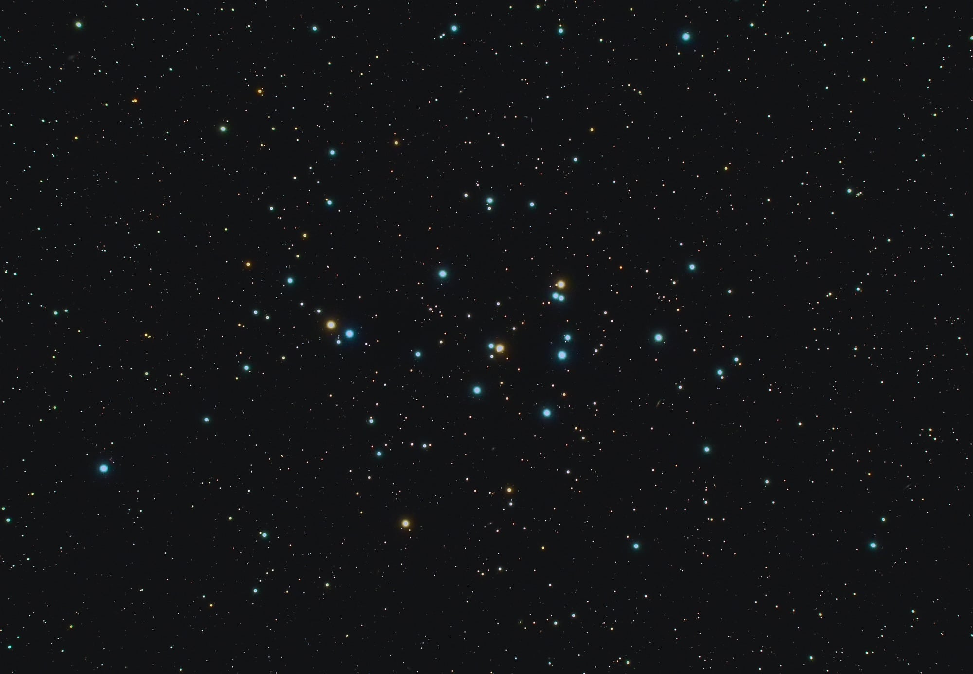 Messier 44 Praesepe - Spektrum der Wissenschaft