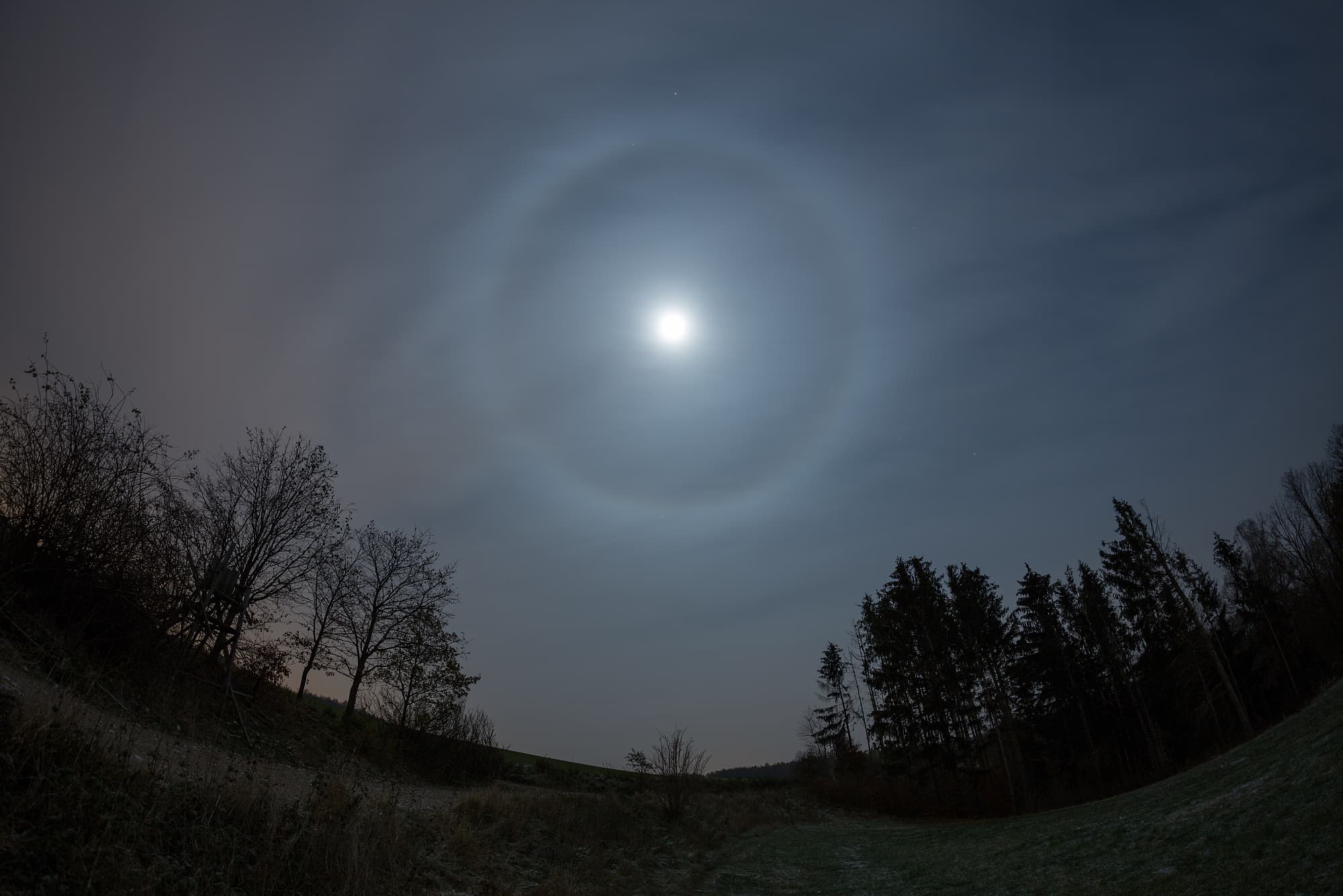 22°- Ring um den Mond - Spektrum der Wissenschaft