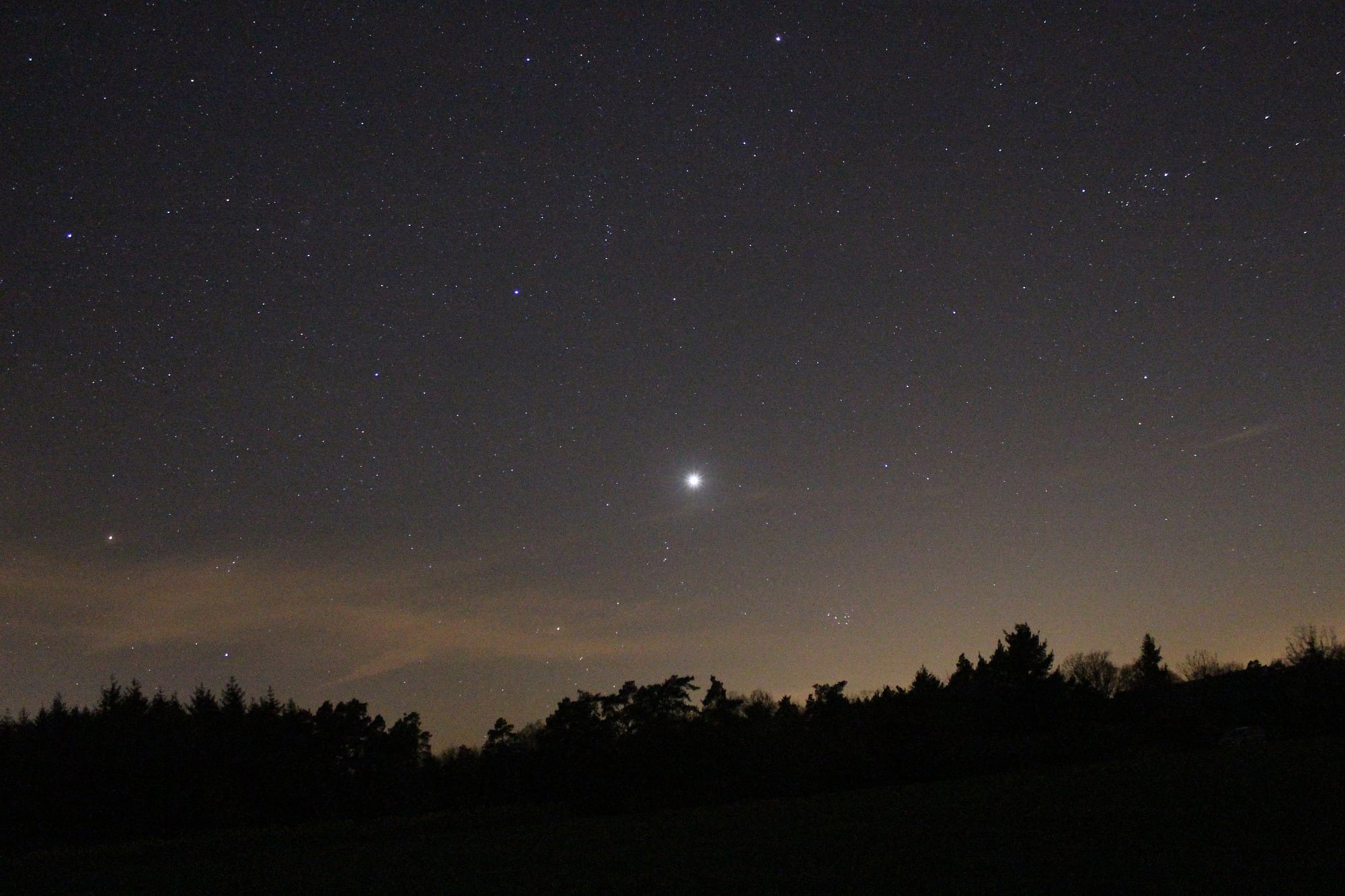 Venus am Abendhimmel - Spektrum der Wissenschaft