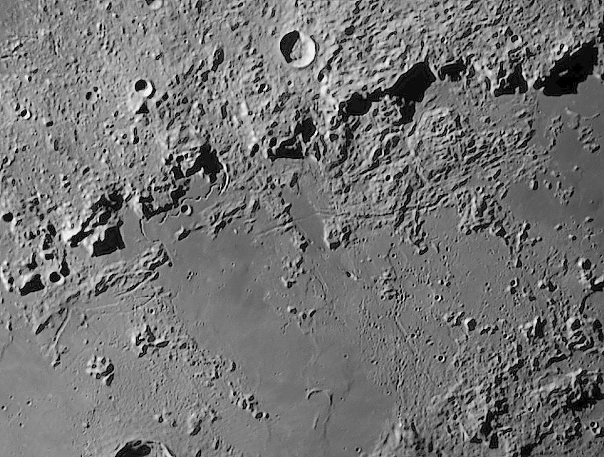 Rima Hadley - Spektrum der Wissenschaft