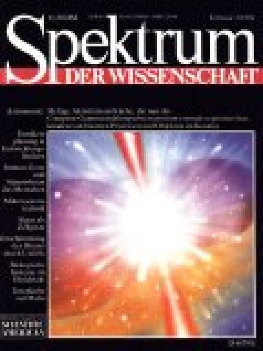 2 / 1994 - Spektrum der Wissenschaft