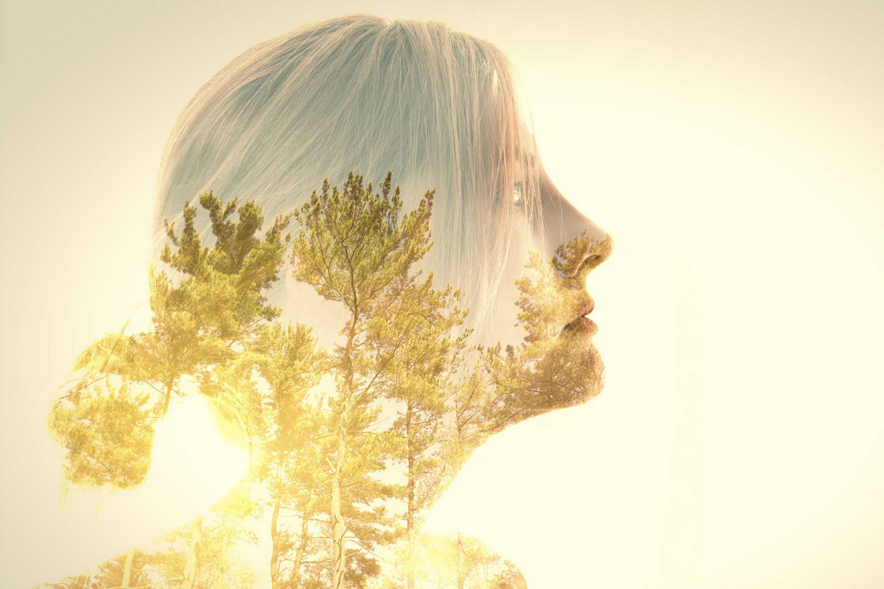 Der Gehirn&Geist-Seelentest - Welcher Seelentyp sind Sie?