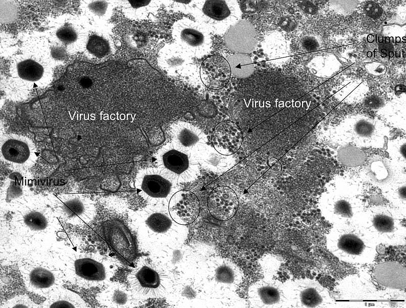 Jahresrückblick: Neue Wege - Spektrum der Wissenschaft