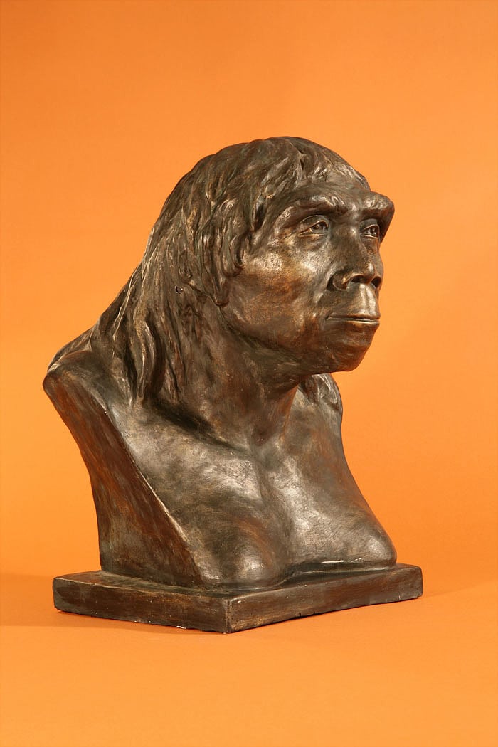 Homo erectus: Pekingmensch älter als gedacht - Spektrum der Wissenschaft