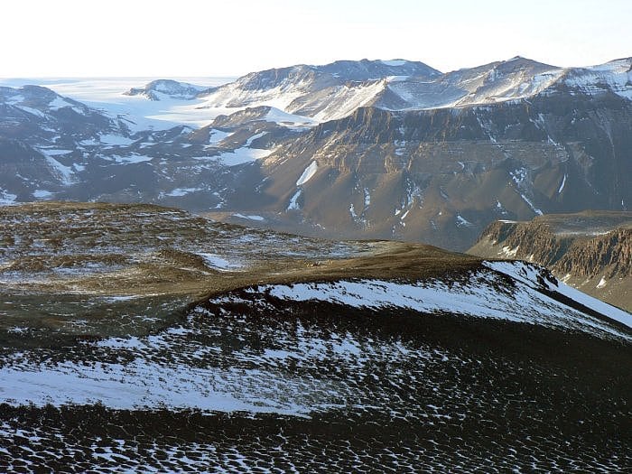 Paläoökologie: Verlorene Welt - Spektrum der Wissenschaft