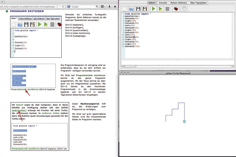 Das neo-Experiment: Programmiere eine Schildkröte! - Spektrum der ...