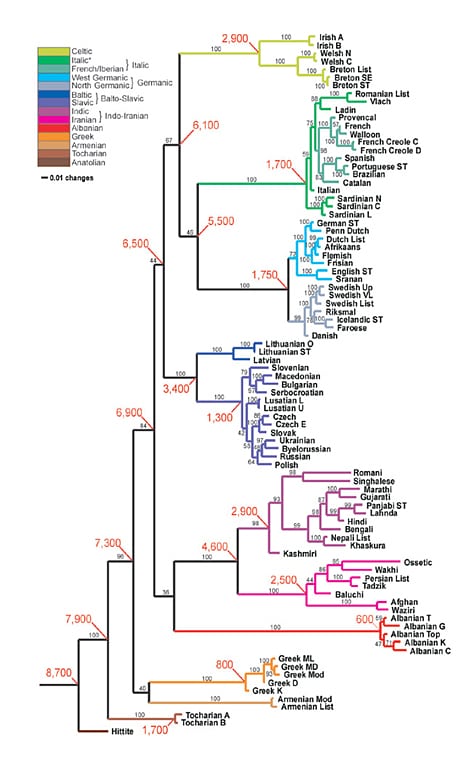 Linguistik: Explosionen im Stammbaum - Spektrum der Wissenschaft