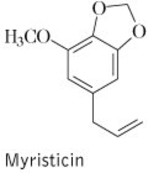 Myristicin - Lexikon der Arzneipflanzen und Drogen